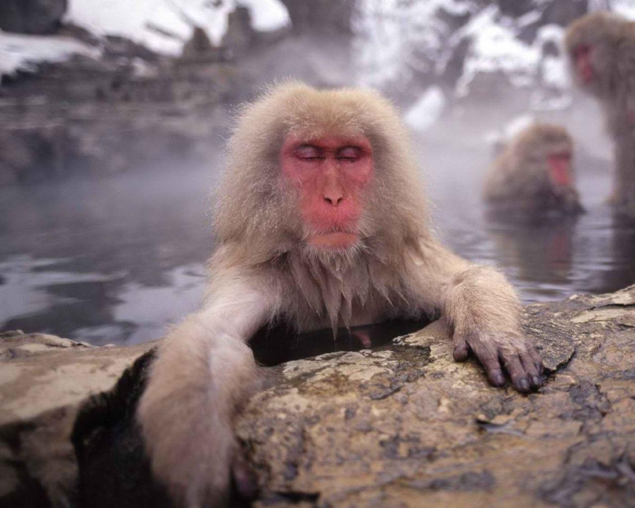 Hot Spring Wallpapers - Top Free Hot Spring Backgrounds - WallpaperAccess