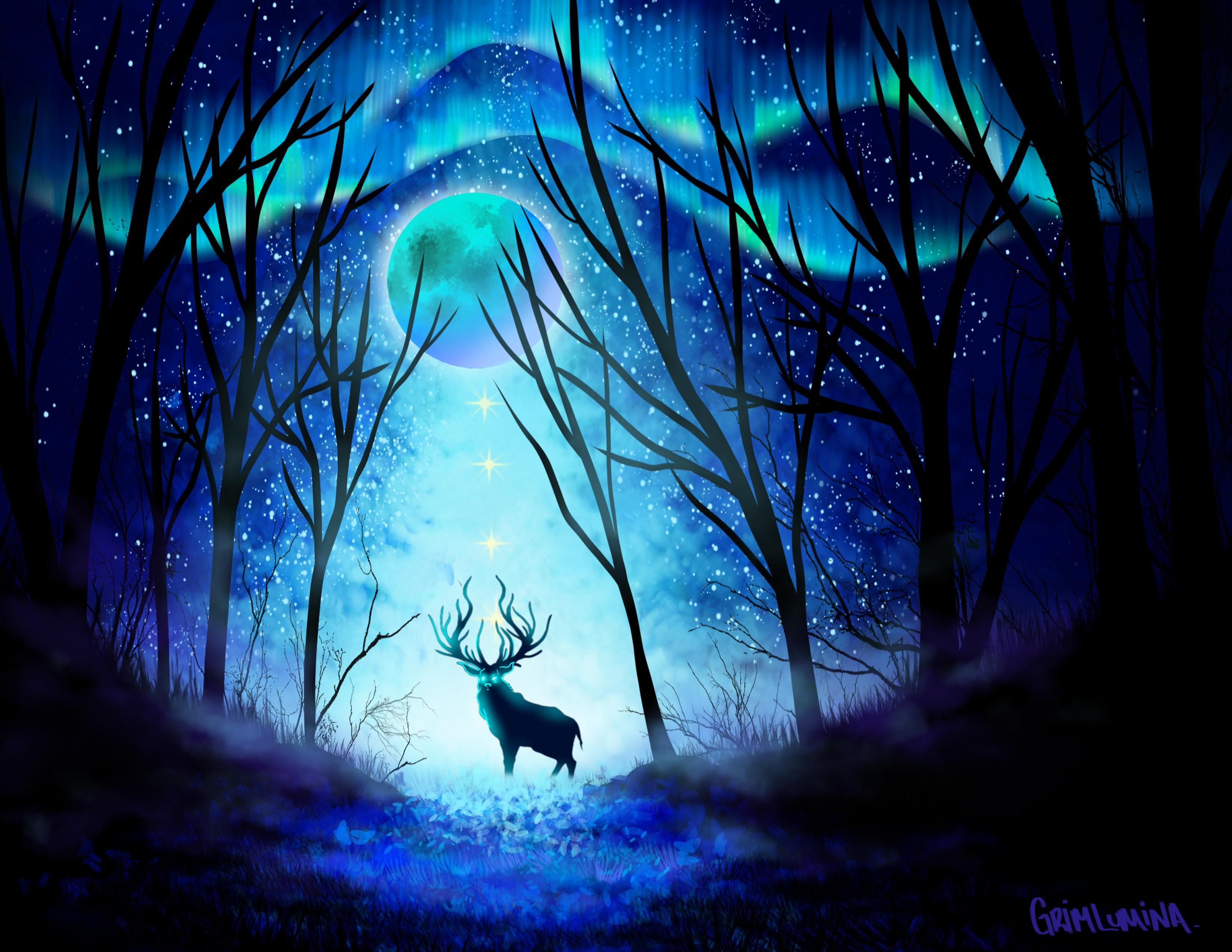 Northern Lights Forest Wallpapers - Top Free Northern Lights Forest ...