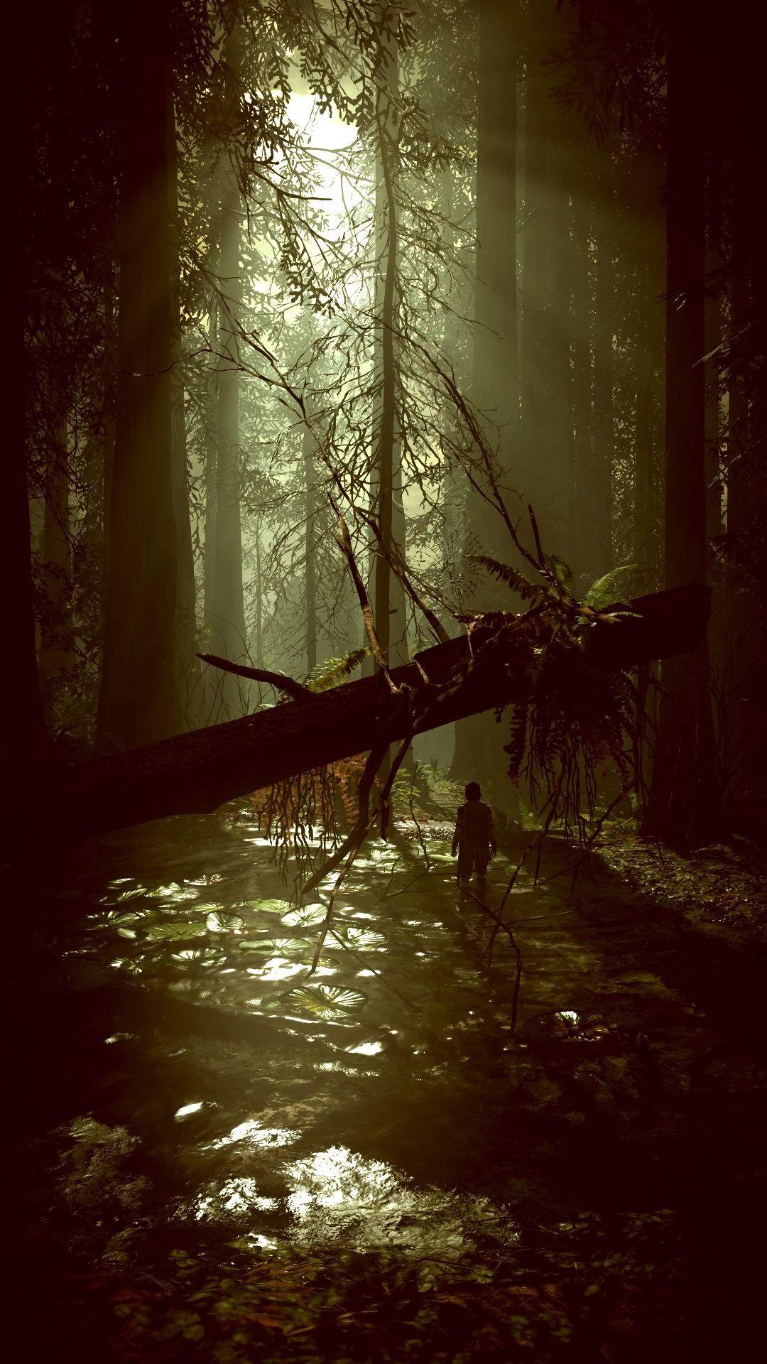 Shadow Phone Wallpapers - Top Free Shadow Phone Backgrounds ...