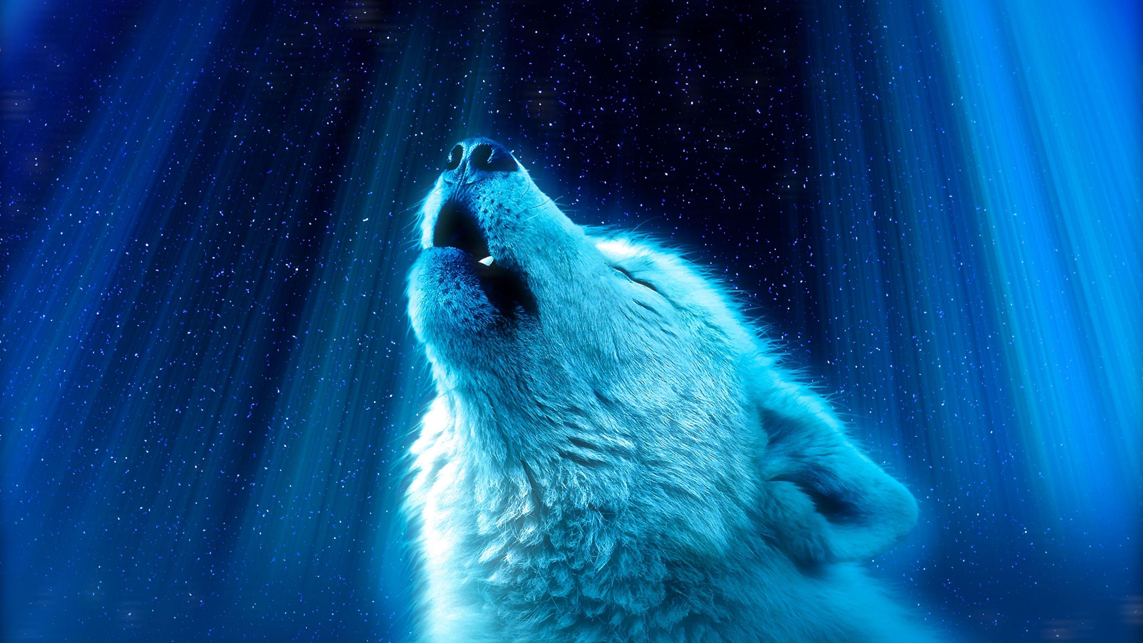 Cool Blue Wolf Wallpapers - Top Free Cool Blue Wolf Backgrounds ...