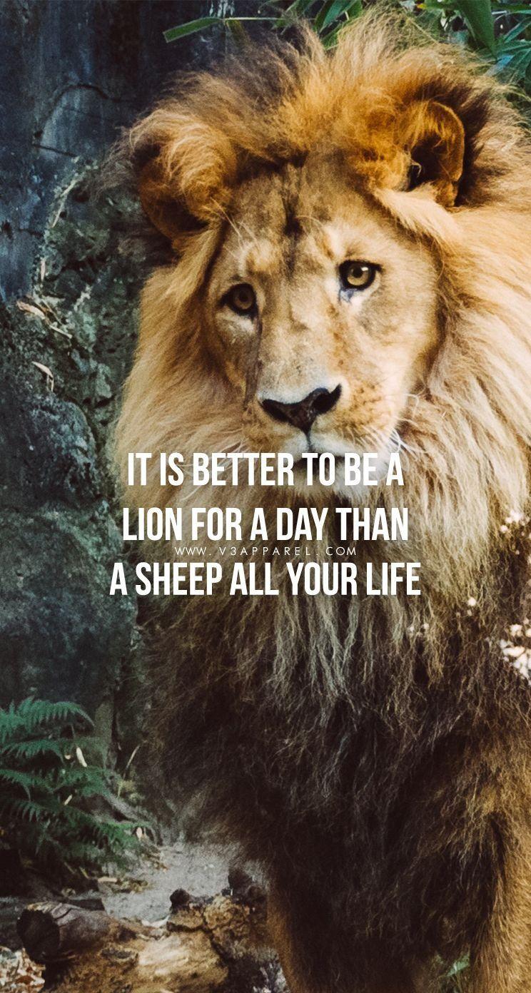 Motivation Lion Wallpapers - Top Free Motivation Lion Backgrounds ...