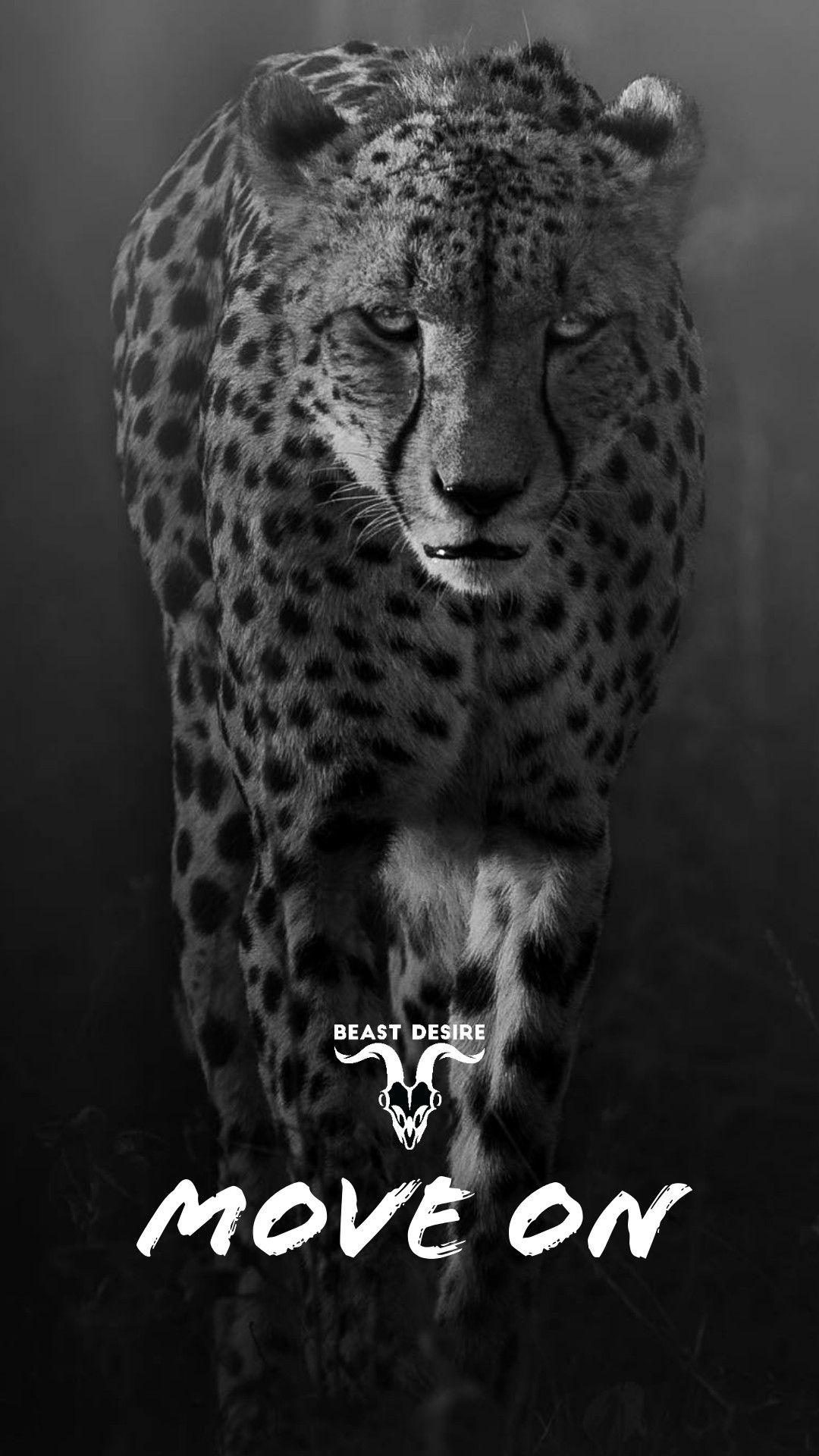 Motivation Lion Wallpapers - Top Free Motivation Lion Backgrounds ...