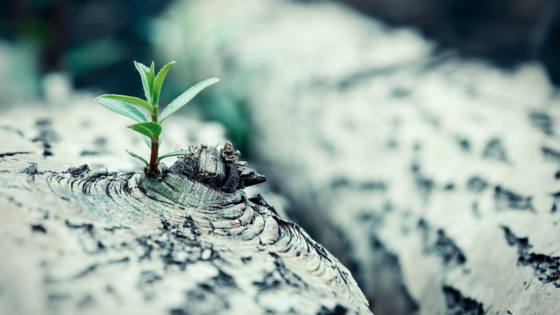 New Life Wallpapers - Top Free New Life Backgrounds - WallpaperAccess