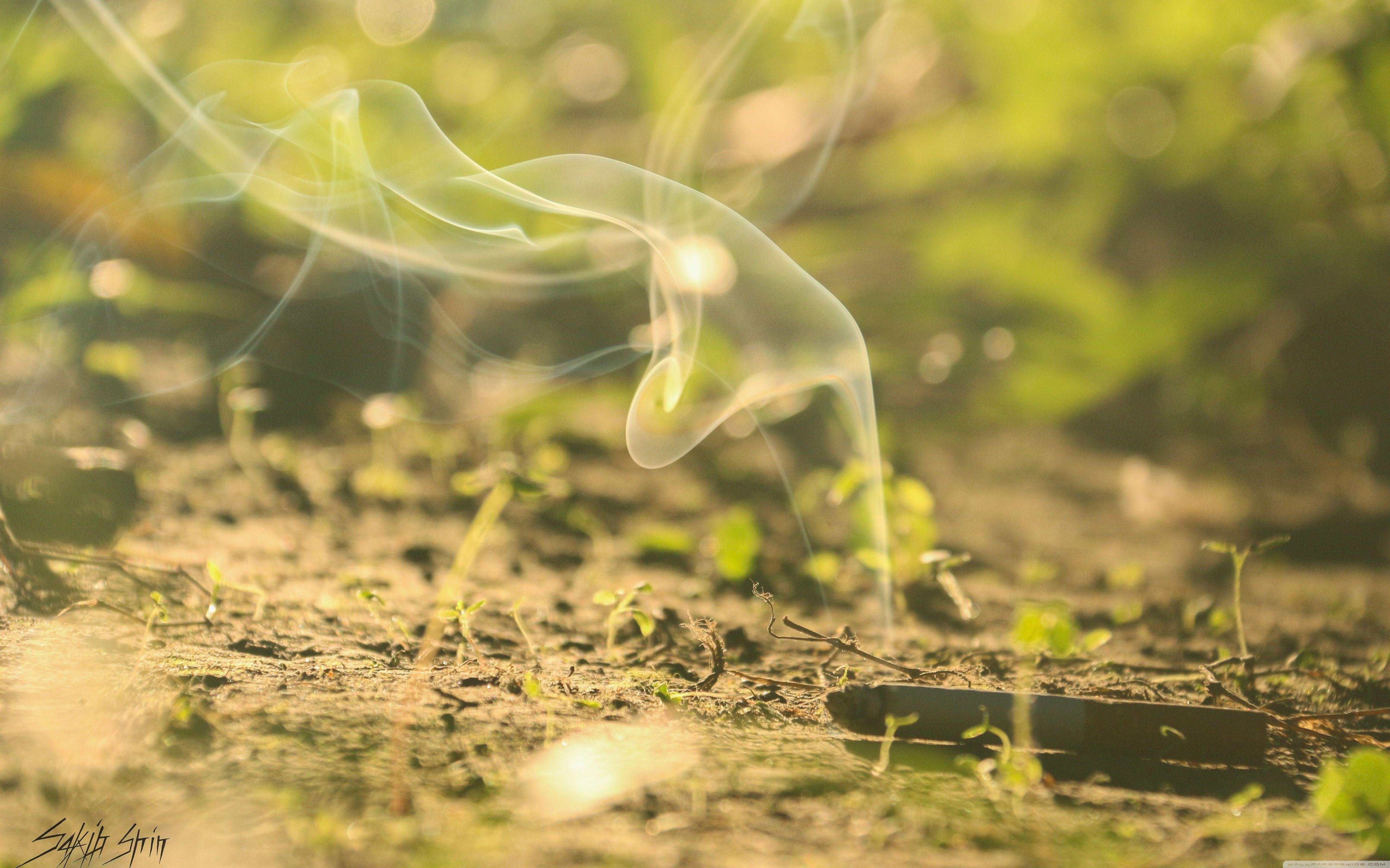 New Life Wallpapers - Top Free New Life Backgrounds - WallpaperAccess