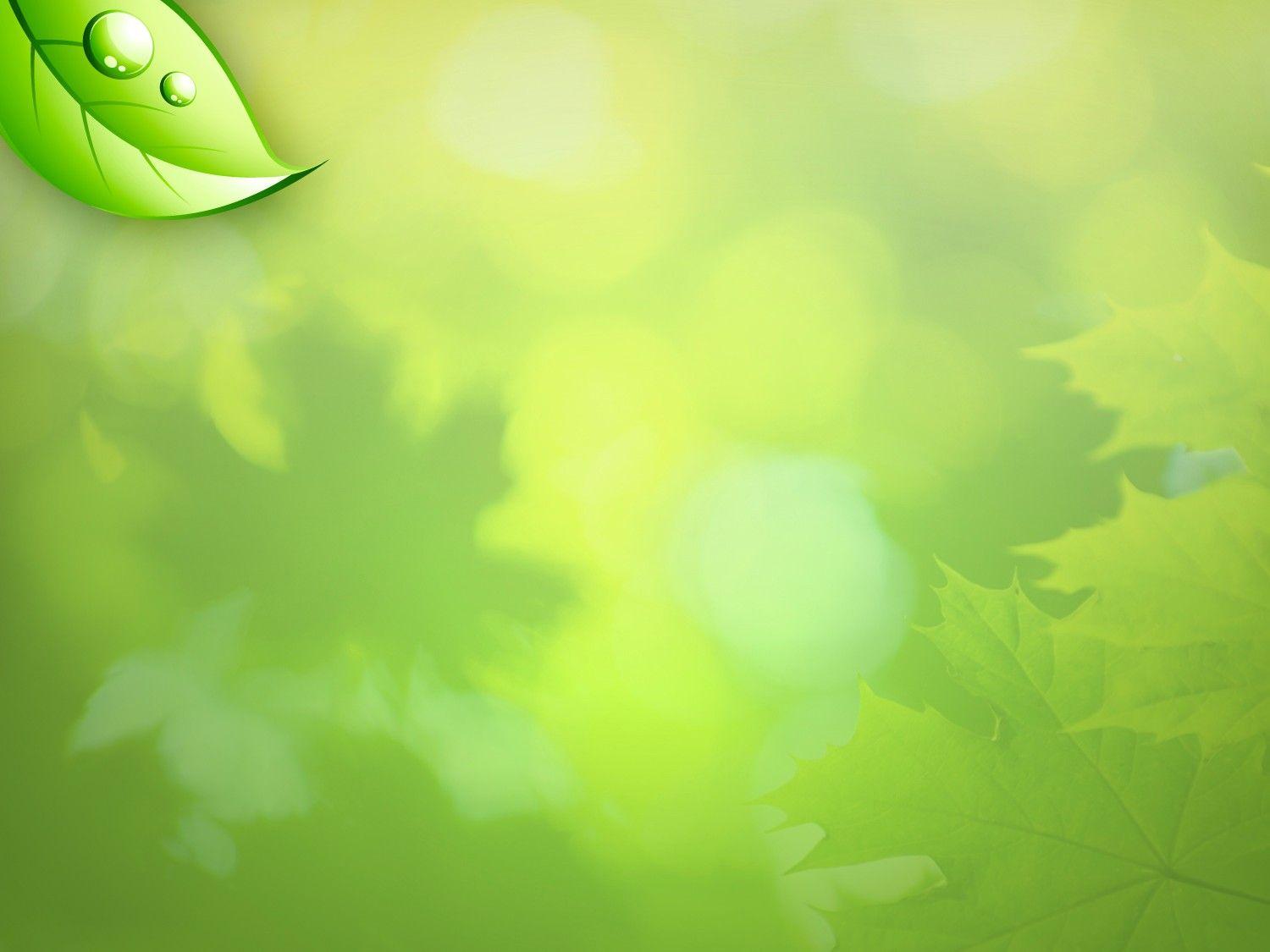 New Life Wallpapers - Top Free New Life Backgrounds - WallpaperAccess