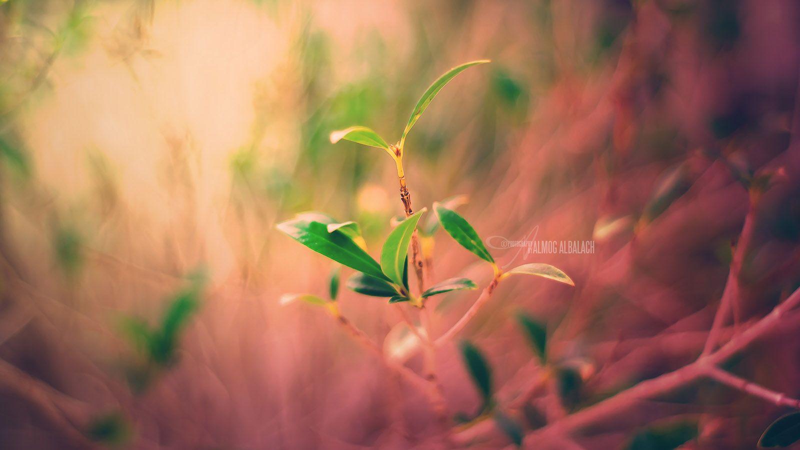 New Life Wallpapers - Top Free New Life Backgrounds - WallpaperAccess