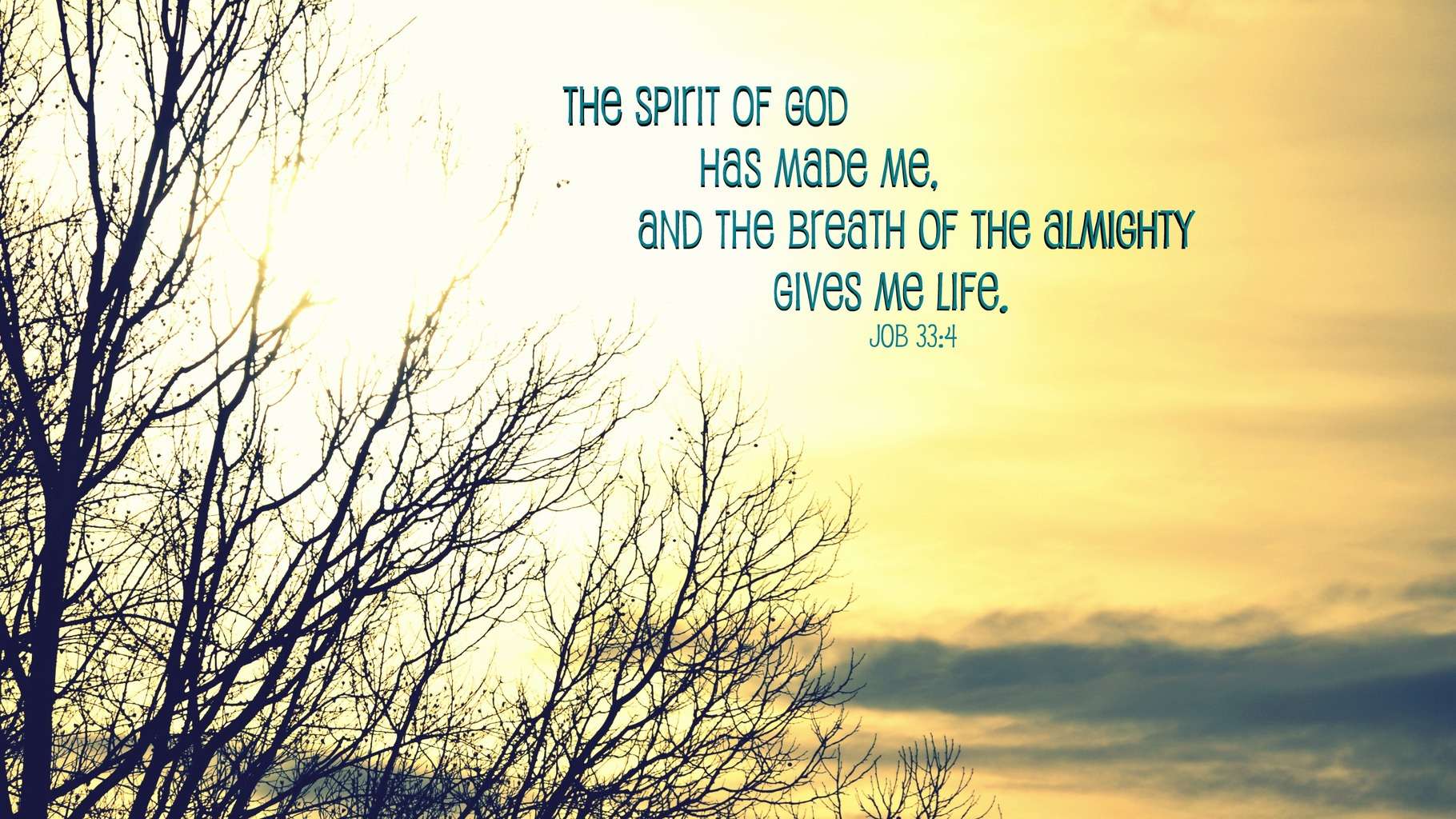 New Life Wallpapers - Top Free New Life Backgrounds - WallpaperAccess