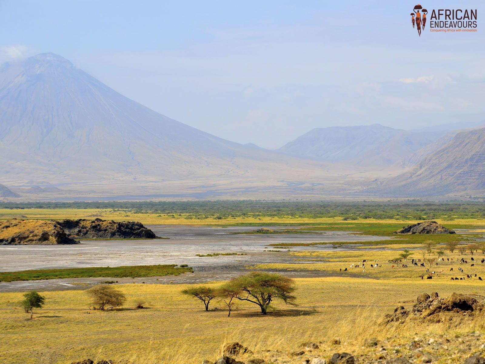 Savannah Wallpapers - Top Free Savannah Backgrounds - WallpaperAccess