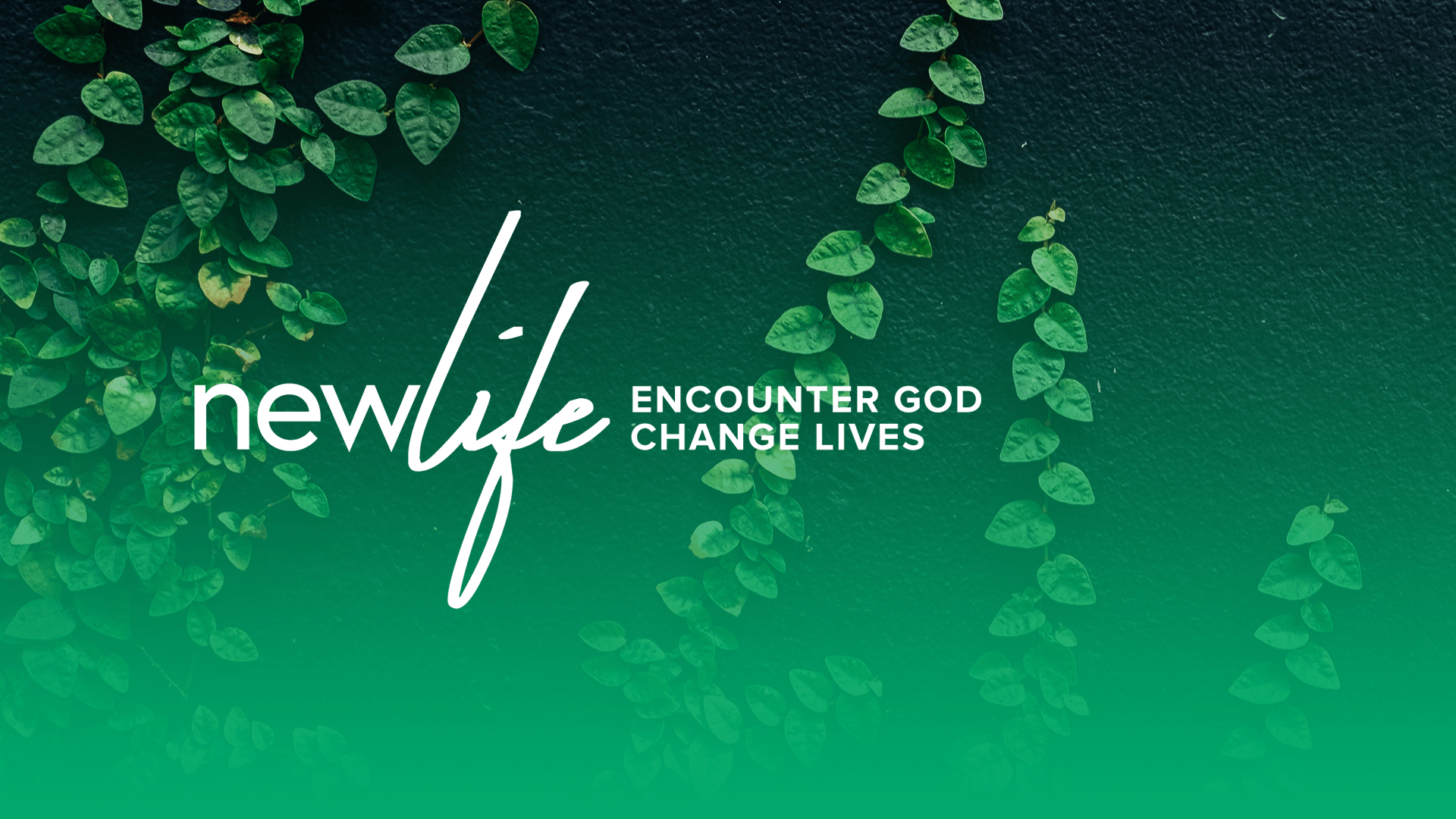 New Life Wallpapers - Top Free New Life Backgrounds - WallpaperAccess