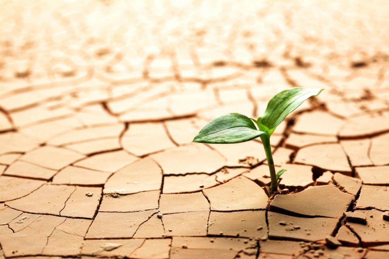 New Life Wallpapers - Top Free New Life Backgrounds - WallpaperAccess