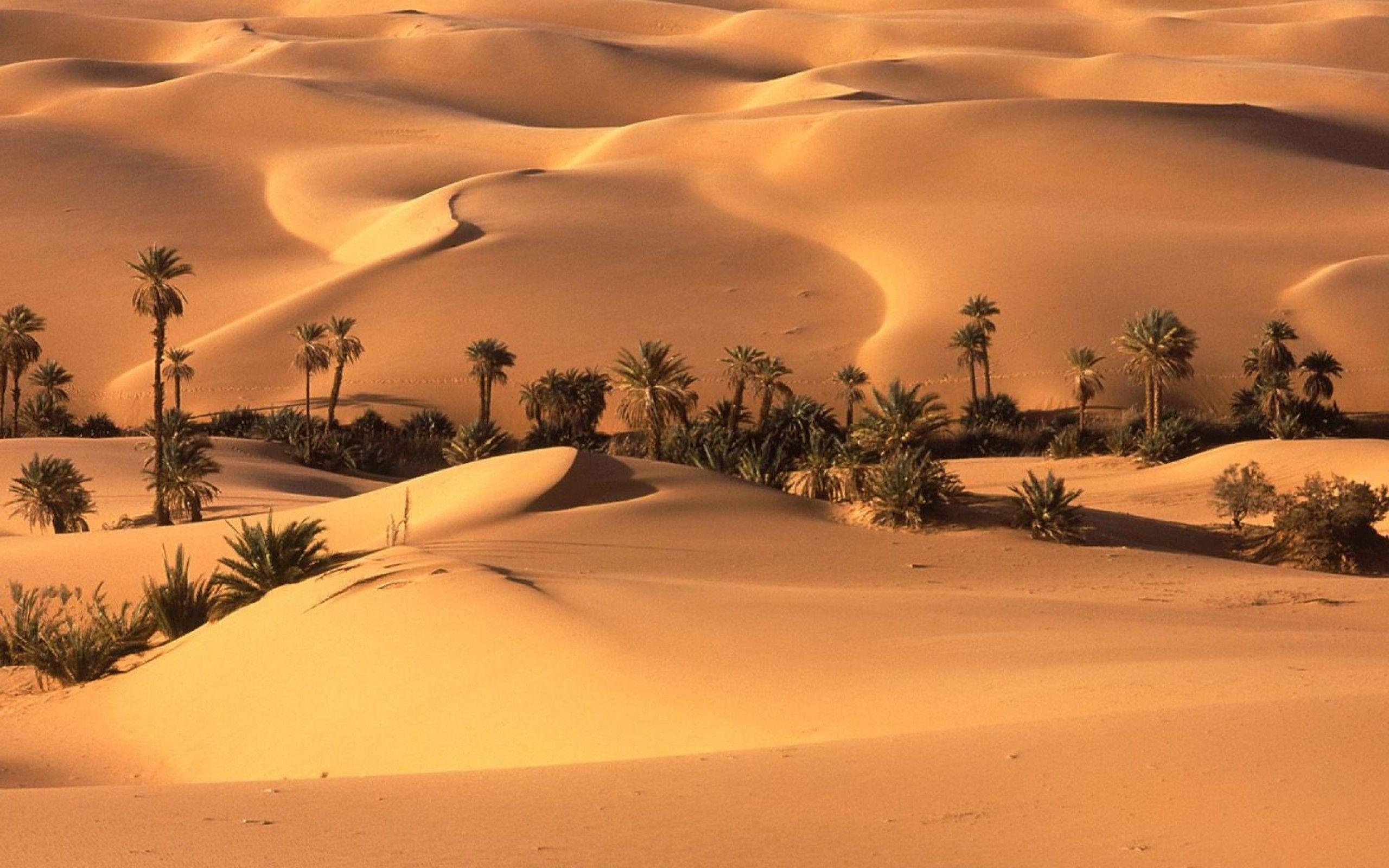 Savannah Wallpapers - Top Free Savannah Backgrounds - WallpaperAccess