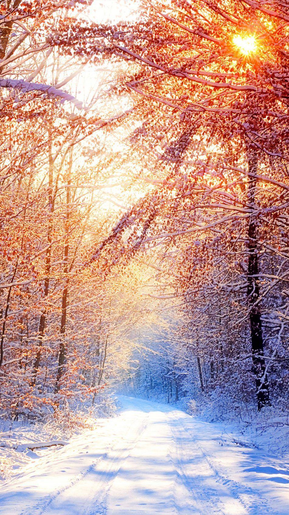 Winter Morning Wallpapers - Top Free Winter Morning Backgrounds ...