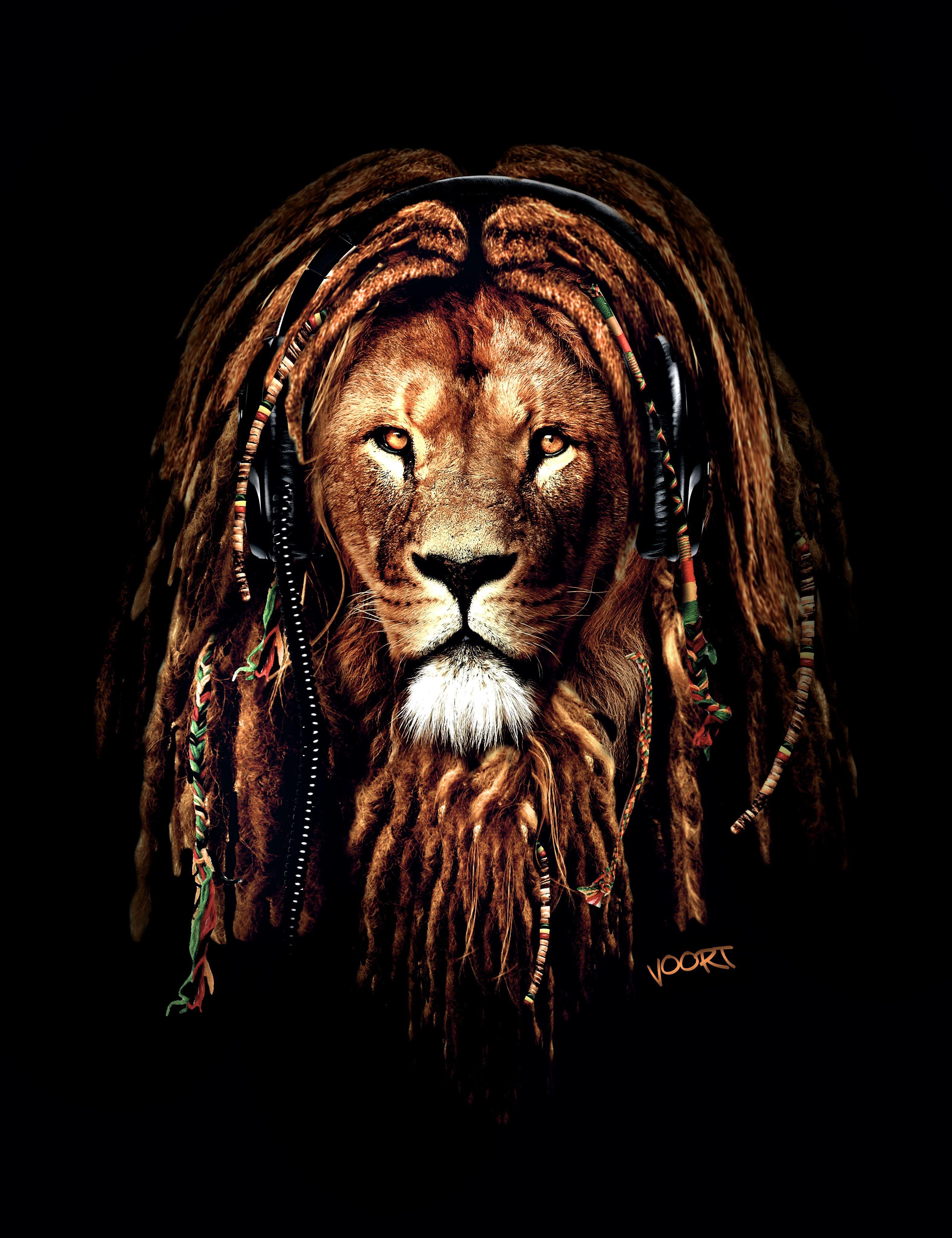 Bob Marley Lion Wallpapers - Top Free Bob Marley Lion Backgrounds ...
