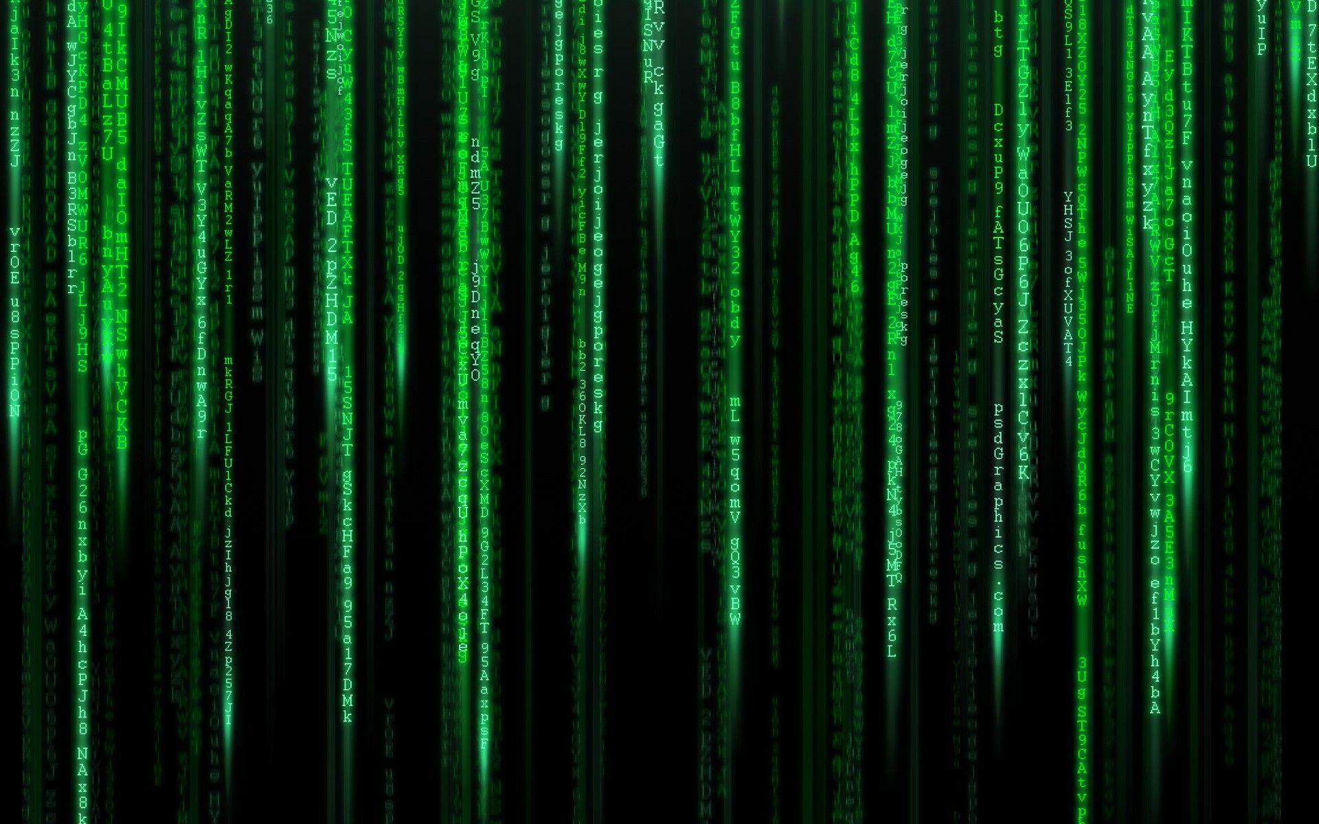 Tribute Wallpapers - Top Free Tribute Backgrounds - WallpaperAccess