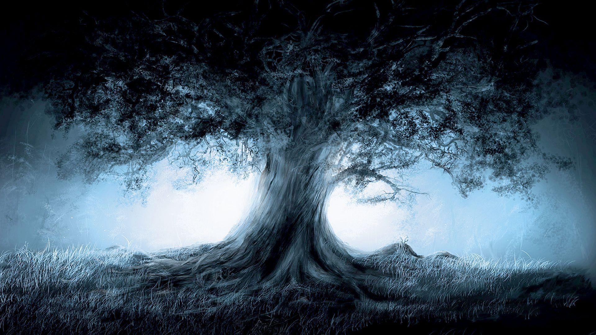 Dark Trees HD Wallpapers - Top Free Dark Trees HD Backgrounds ...