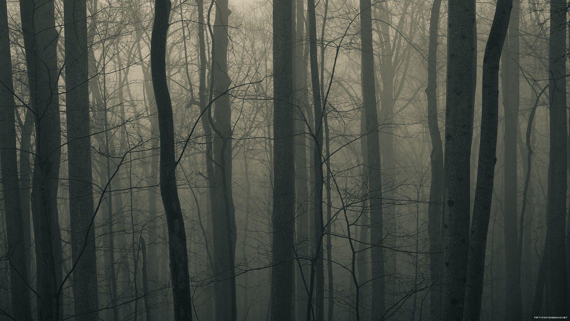 Dark Trees HD Wallpapers - Top Free Dark Trees HD Backgrounds ...