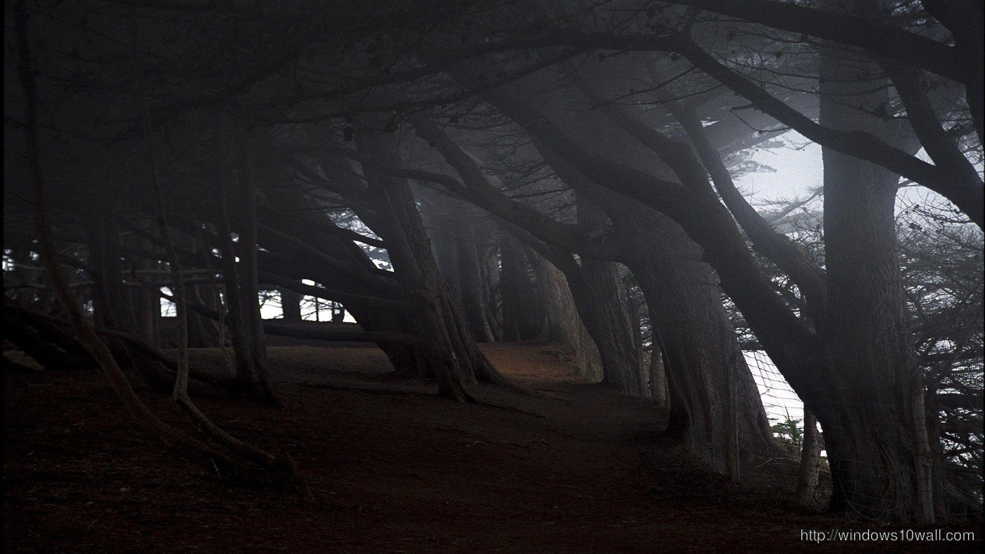 Dark Trees HD Wallpapers - Top Free Dark Trees HD Backgrounds ...