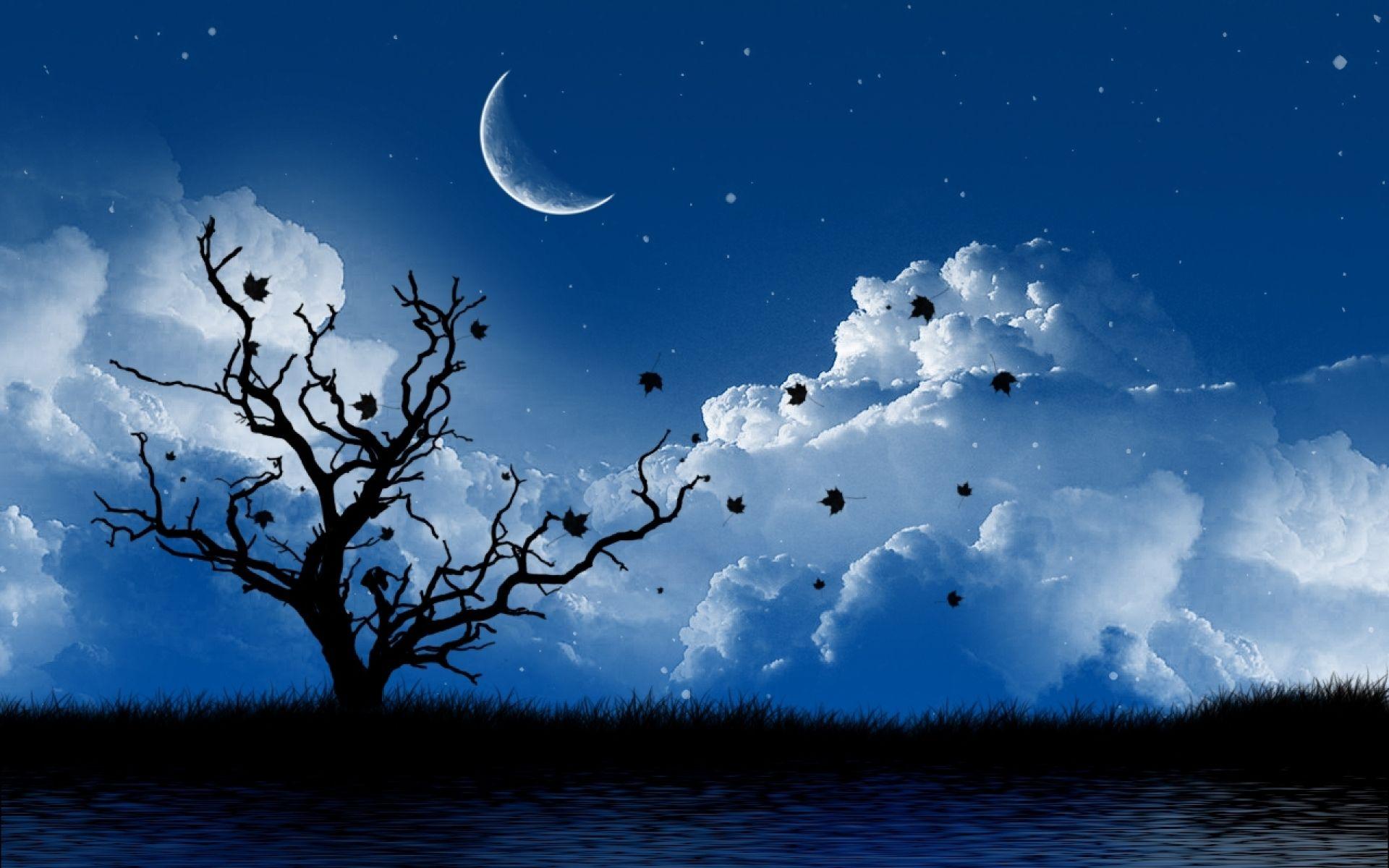 Dark Trees HD Wallpapers - Top Free Dark Trees HD Backgrounds ...