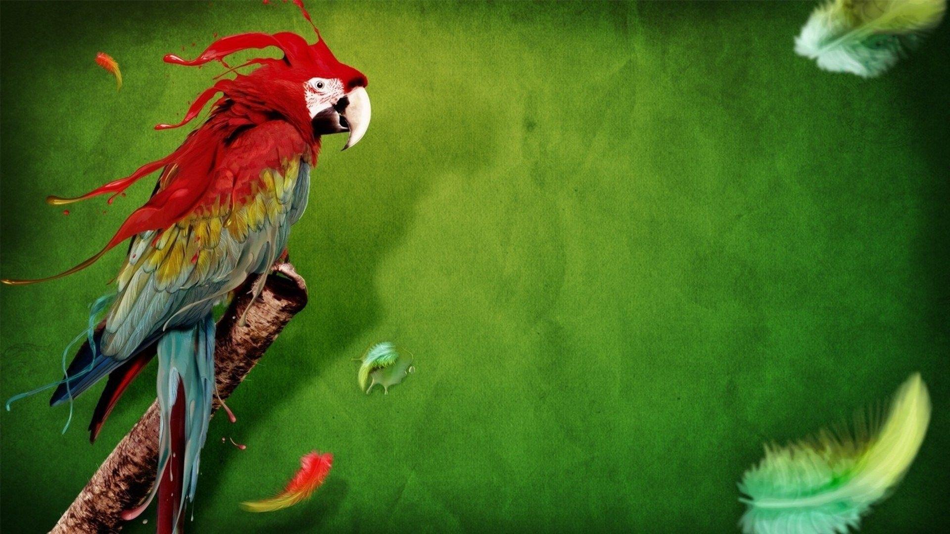 3D Parrot Wallpapers - Top Free 3D Parrot Backgrounds - WallpaperAccess