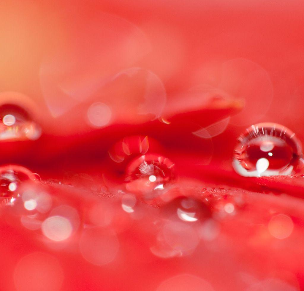 Red Water Wallpapers - Top Free Red Water Backgrounds - WallpaperAccess