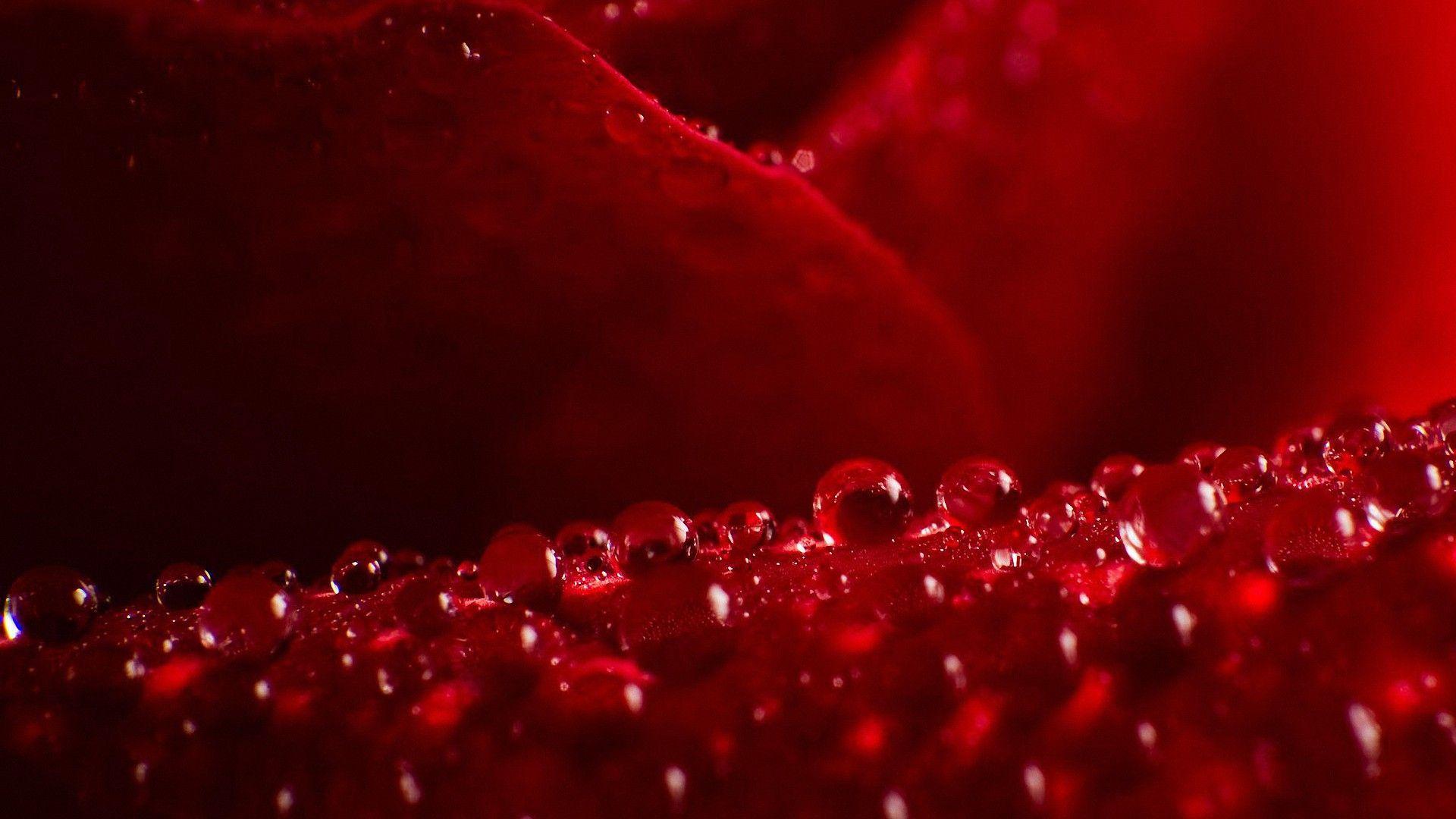 Red Water Wallpapers - Top Free Red Water Backgrounds - WallpaperAccess