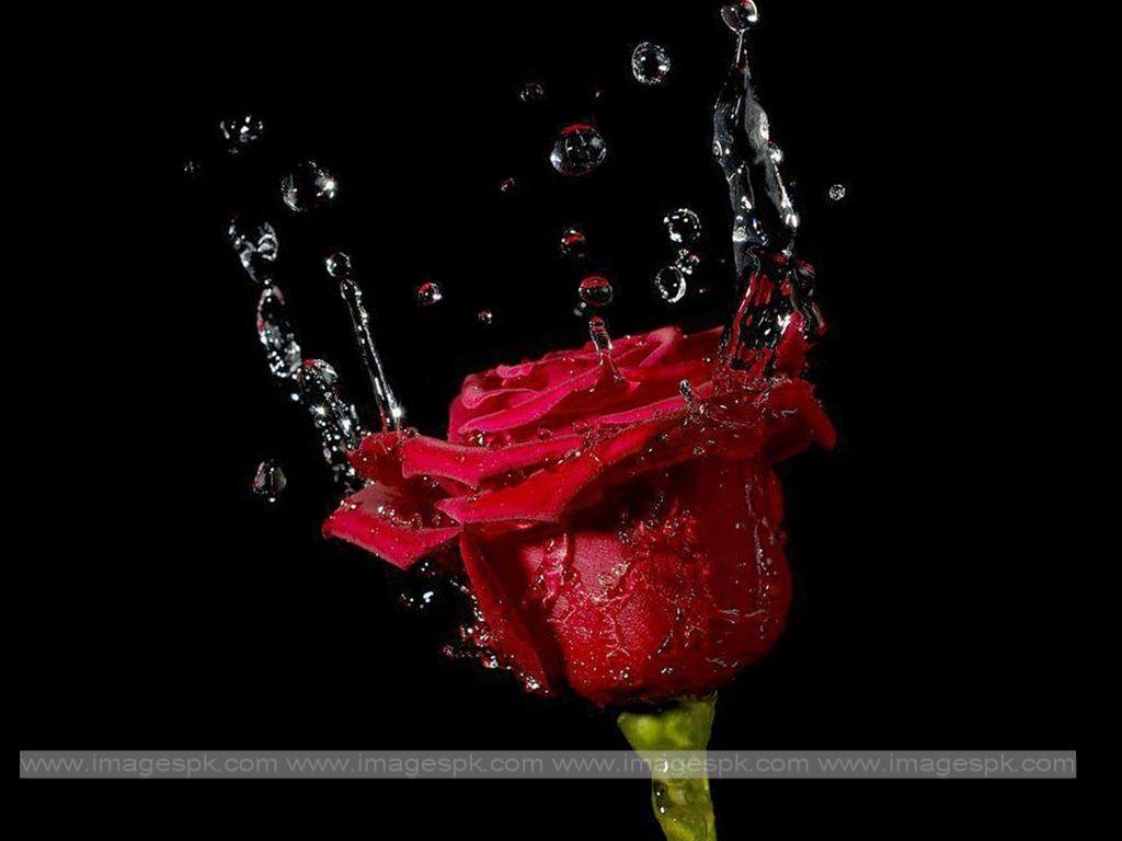 Red Water Wallpapers - Top Free Red Water Backgrounds - WallpaperAccess