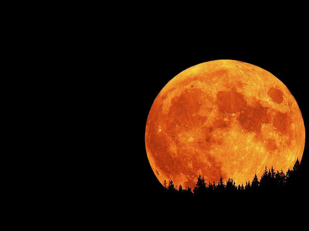 Orange Moon Wallpapers - Top Free Orange Moon Backgrounds - WallpaperAccess