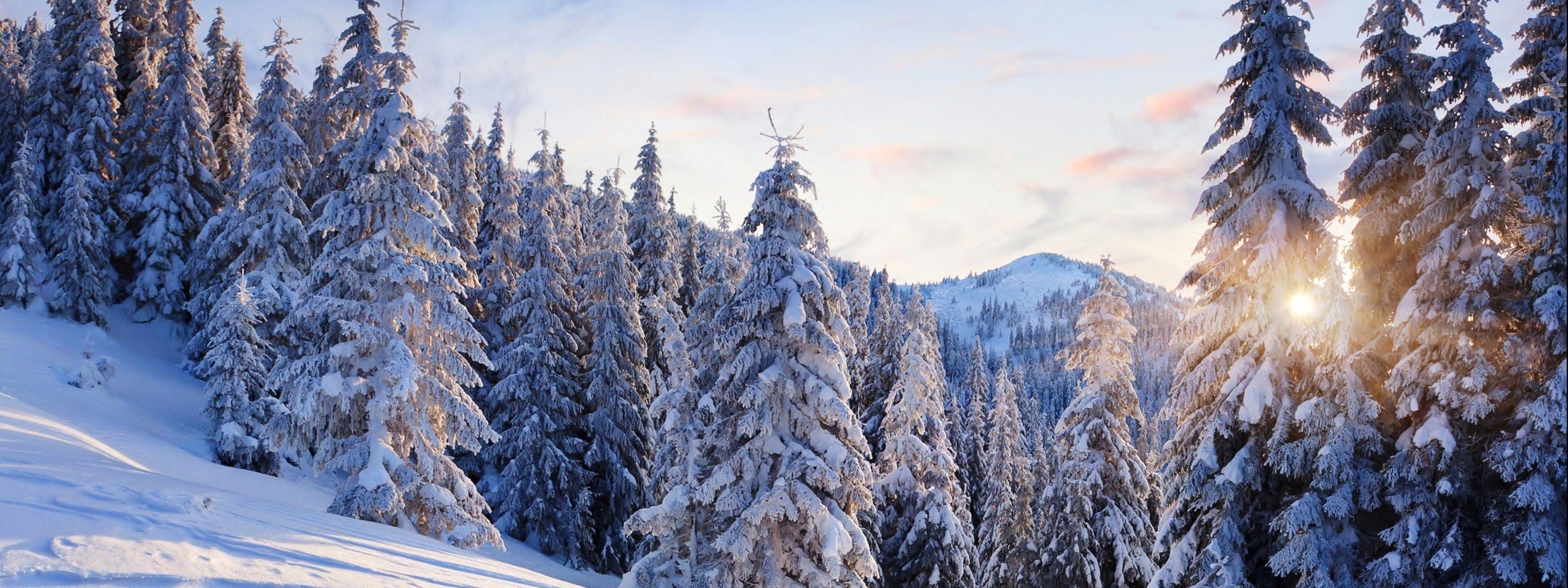 Snow Dual Screen Wallpapers - Top Free Snow Dual Screen Backgrounds ...