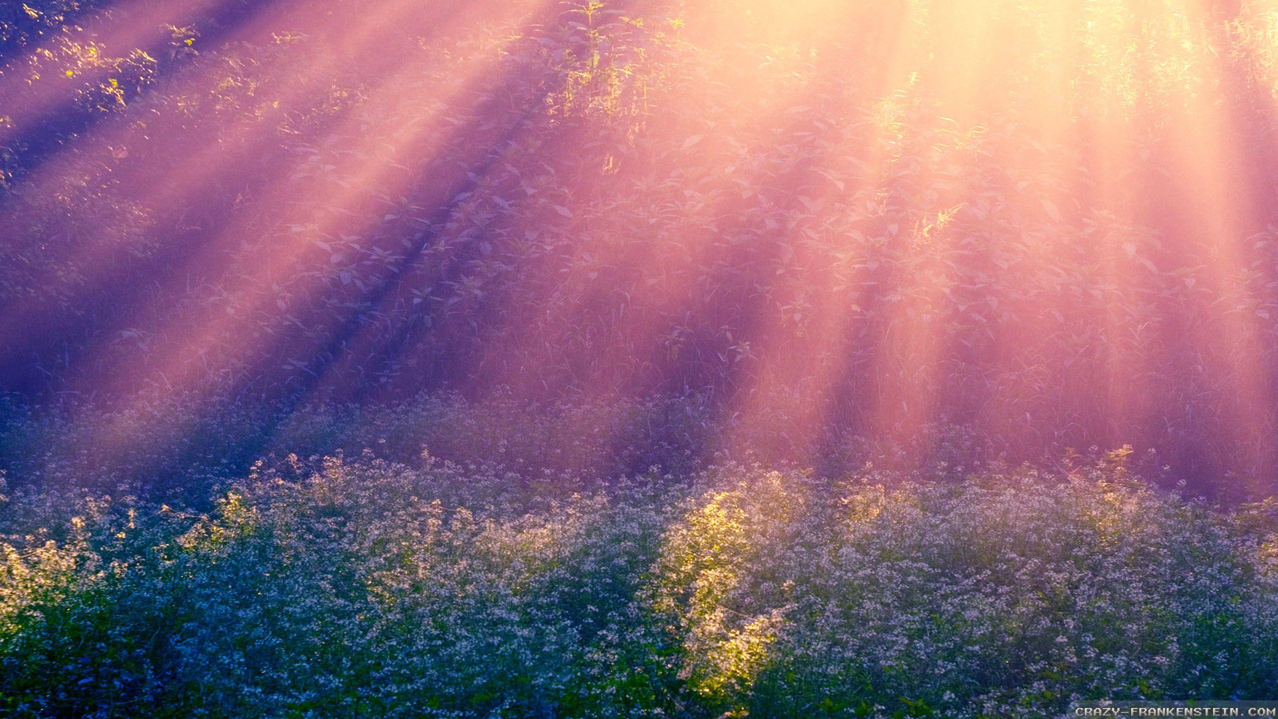 Tumblr Morning Wallpapers - Top Free Tumblr Morning Backgrounds ...