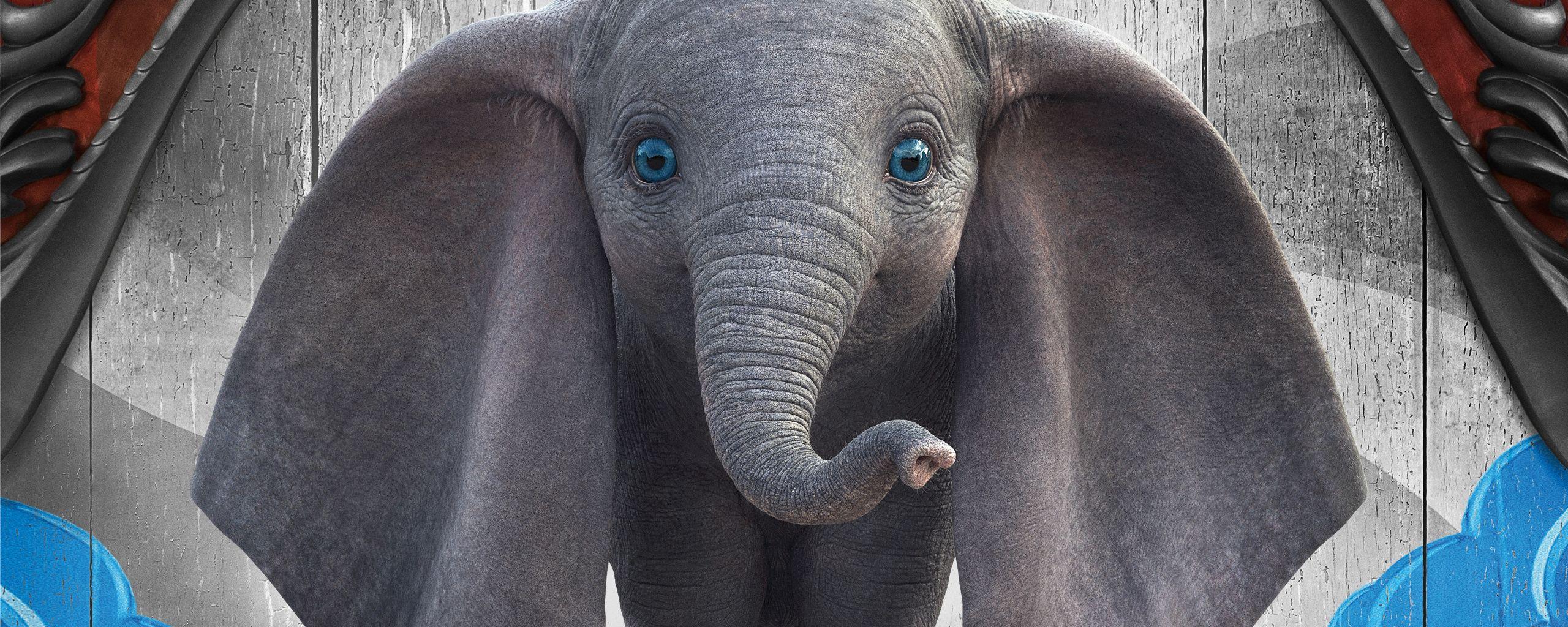 Baby Dumbo Wallpapers - Top Free Baby Dumbo Backgrounds - WallpaperAccess