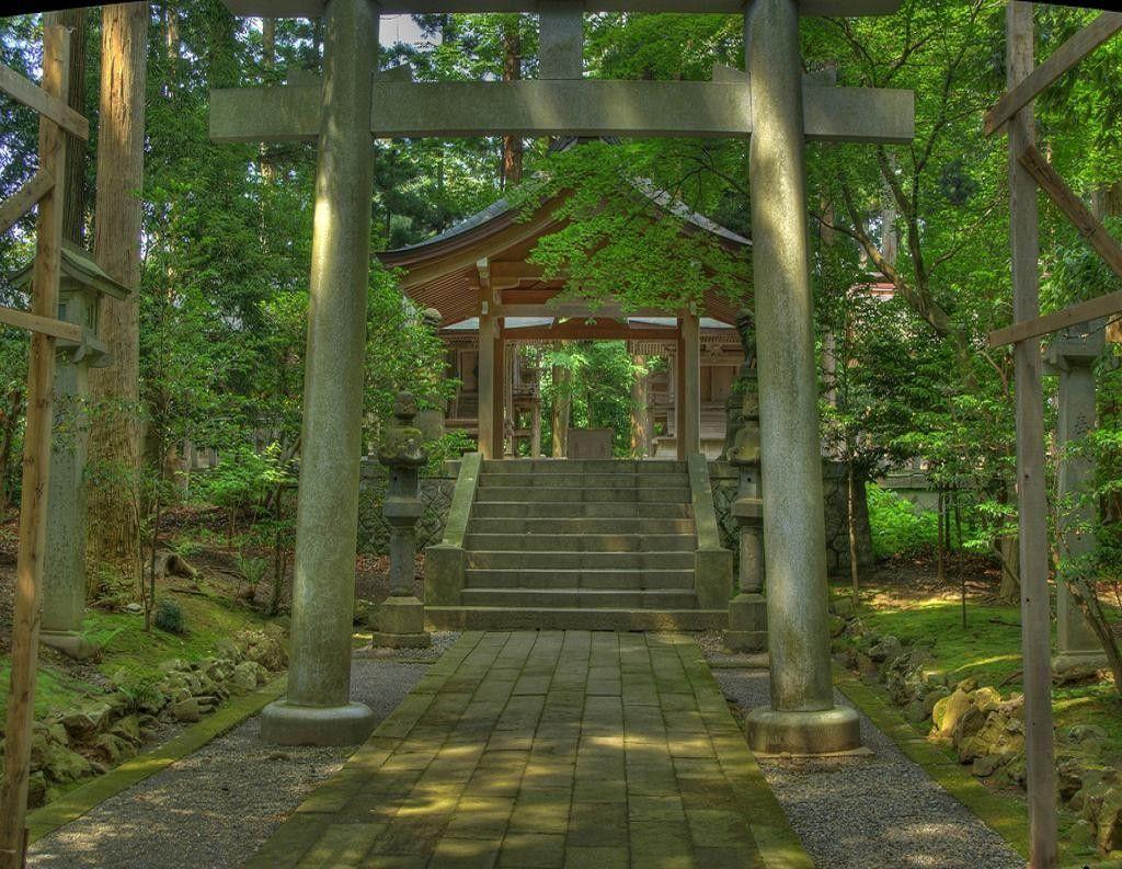 Japanese Forest Wallpapers - Top Free Japanese Forest Backgrounds ...