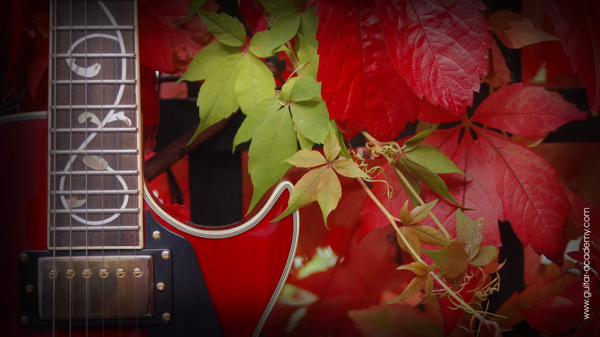 Red Guitar Wallpapers - Top Free Red Guitar Backgrounds - WallpaperAccess