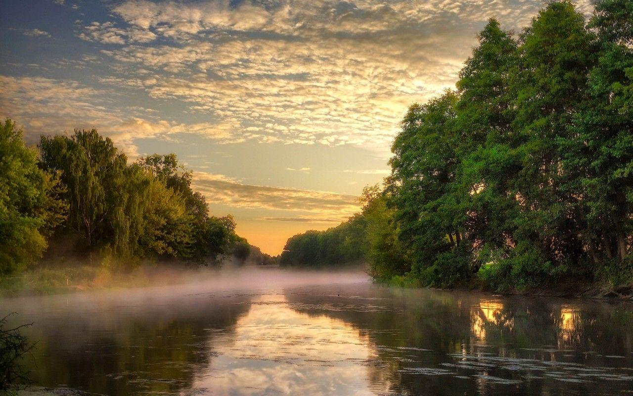 Dusk Forest Wallpapers - Top Free Dusk Forest Backgrounds - WallpaperAccess