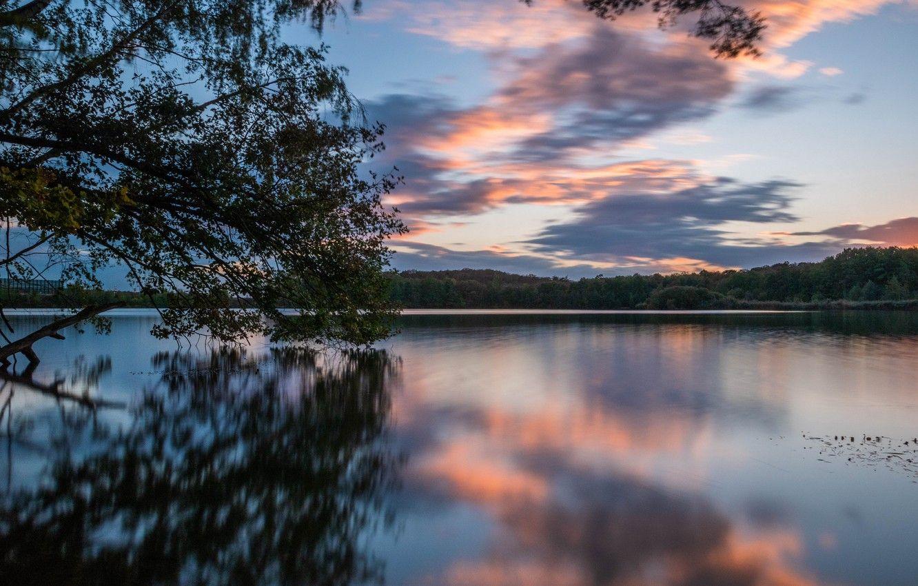 Dusk Forest Wallpapers - Top Free Dusk Forest Backgrounds - WallpaperAccess