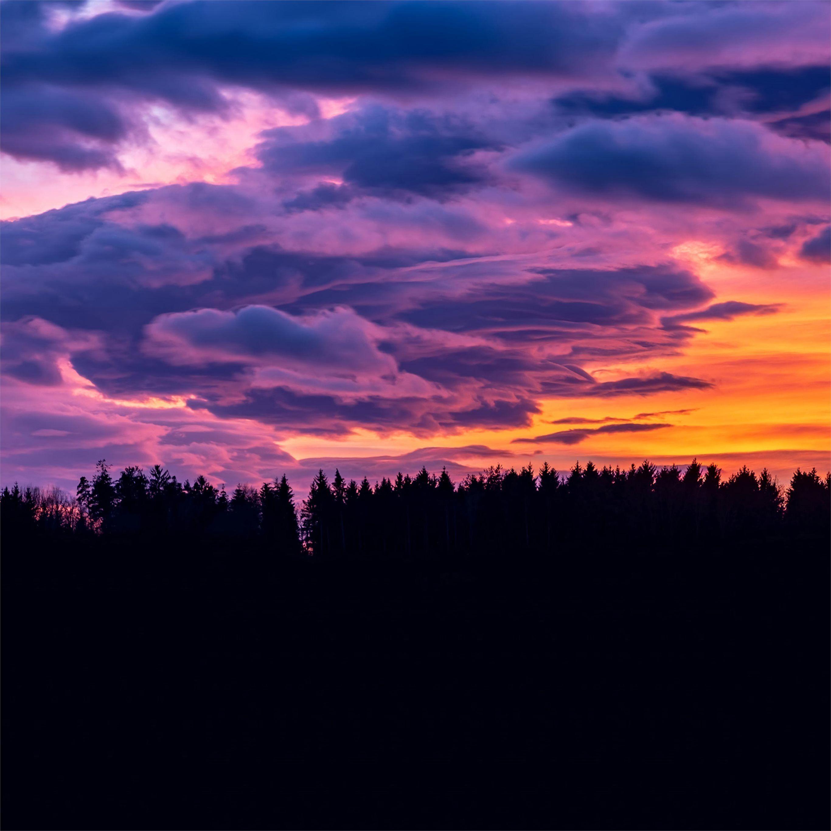 Dusk Forest Wallpapers - Top Free Dusk Forest Backgrounds - WallpaperAccess