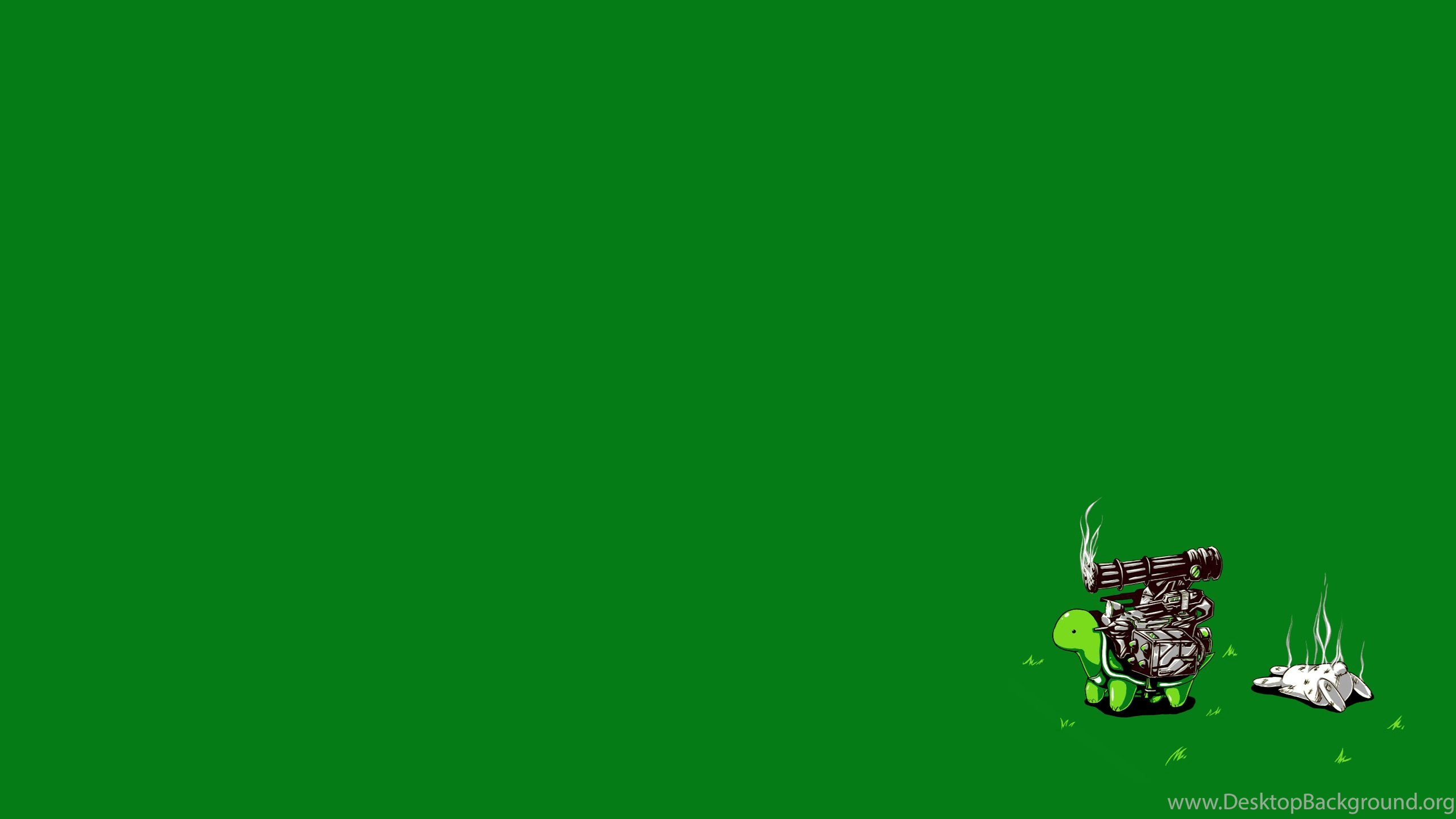 Funny Turtle Wallpapers - Top Free Funny Turtle Backgrounds ...