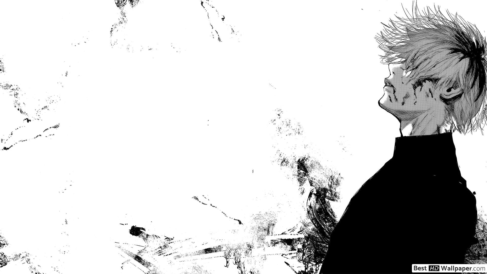 Haise Tokyo Ghoul Wallpapers - Top Free Haise Tokyo Ghoul Backgrounds ...