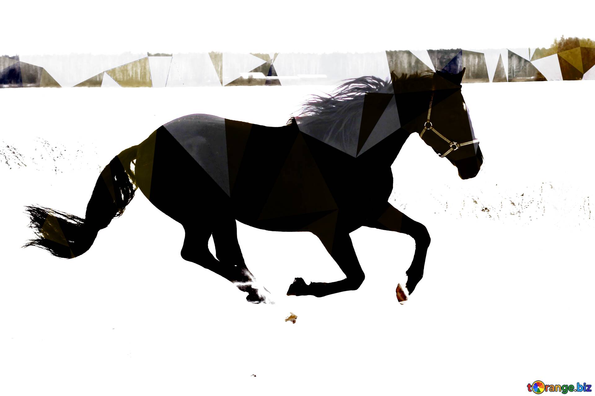 Horse Abstract HD Wallpapers - Top Free Horse Abstract HD Backgrounds ...