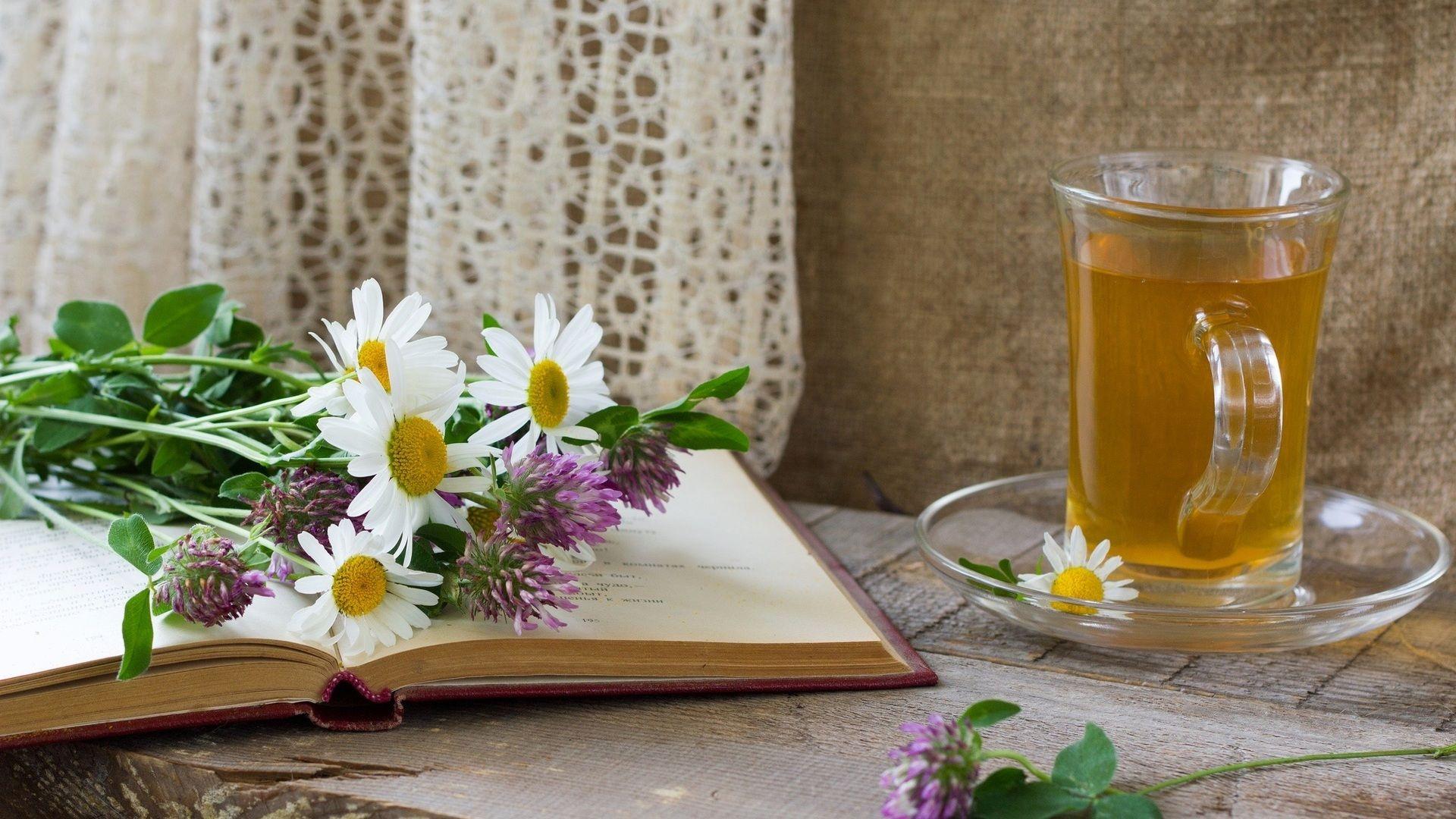 Tea and Books Wallpapers - Top Free Tea and Books Backgrounds ...