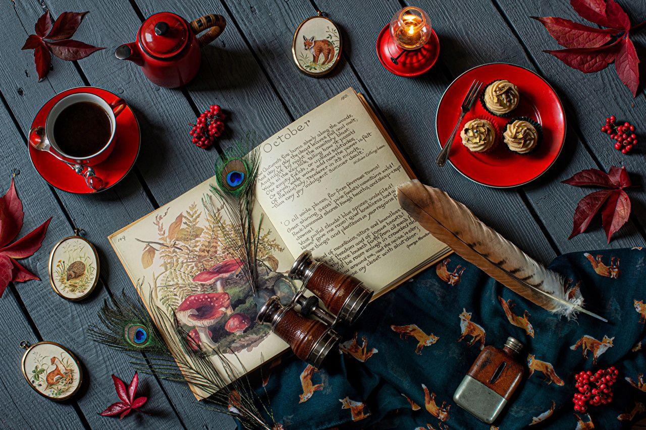 Tea and Books Wallpapers - Top Free Tea and Books Backgrounds ...
