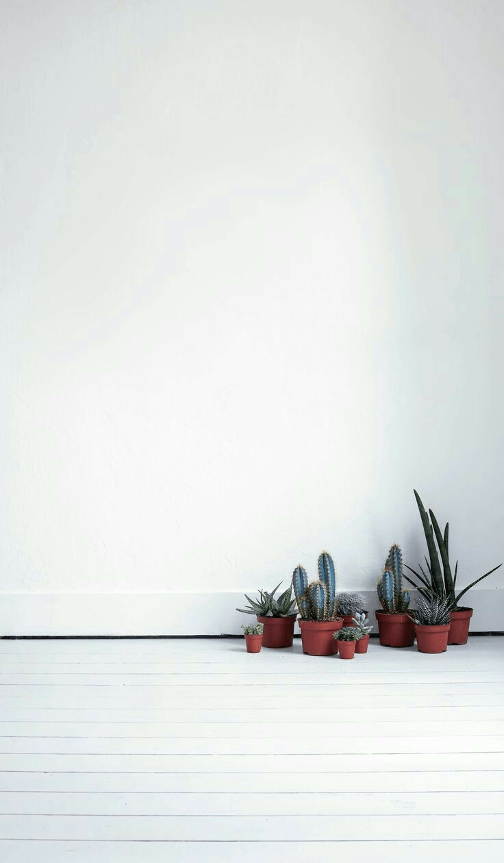 Minimalist Cactus Wallpapers - Top Free Minimalist Cactus Backgrounds ...