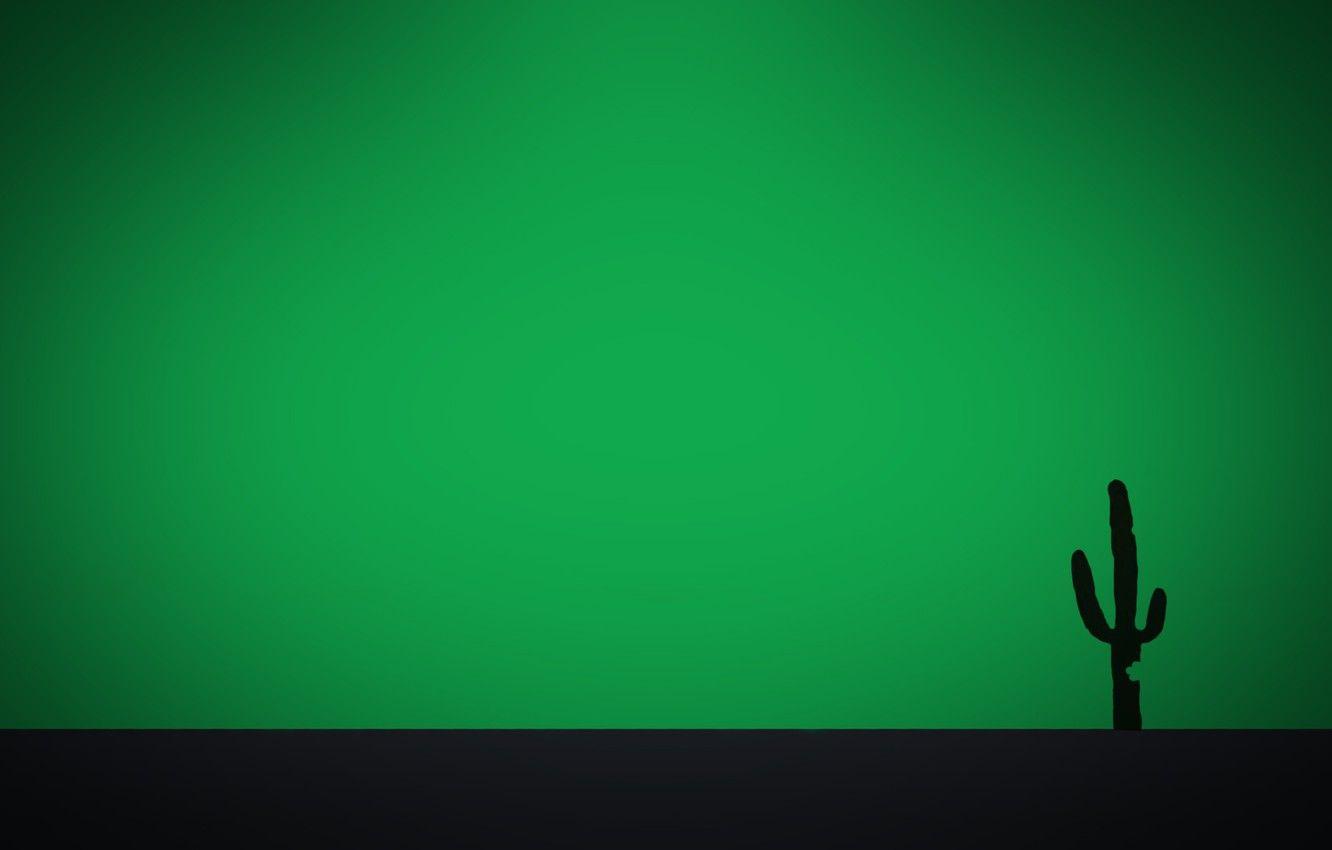 Minimalist Cactus Wallpapers - Top Free Minimalist Cactus Backgrounds ...