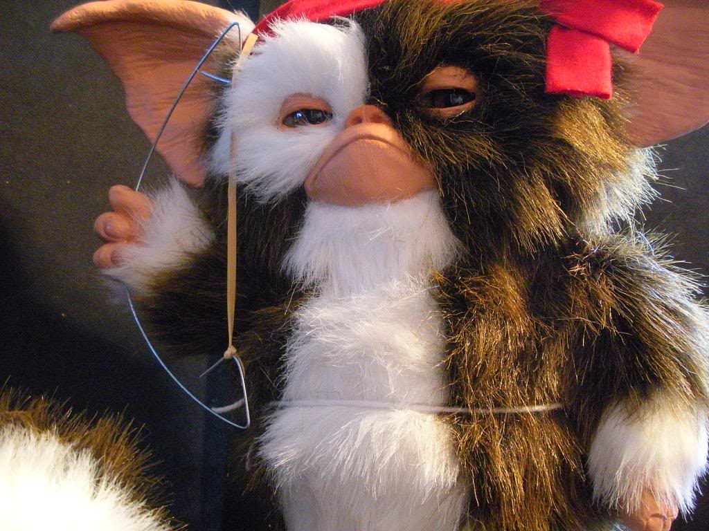 Gizmo Wallpapers - Top Free Gizmo Backgrounds - WallpaperAccess