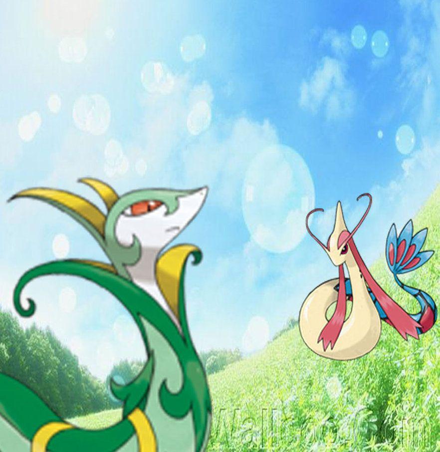 Milotic Wallpapers - Top Free Milotic Backgrounds - WallpaperAccess