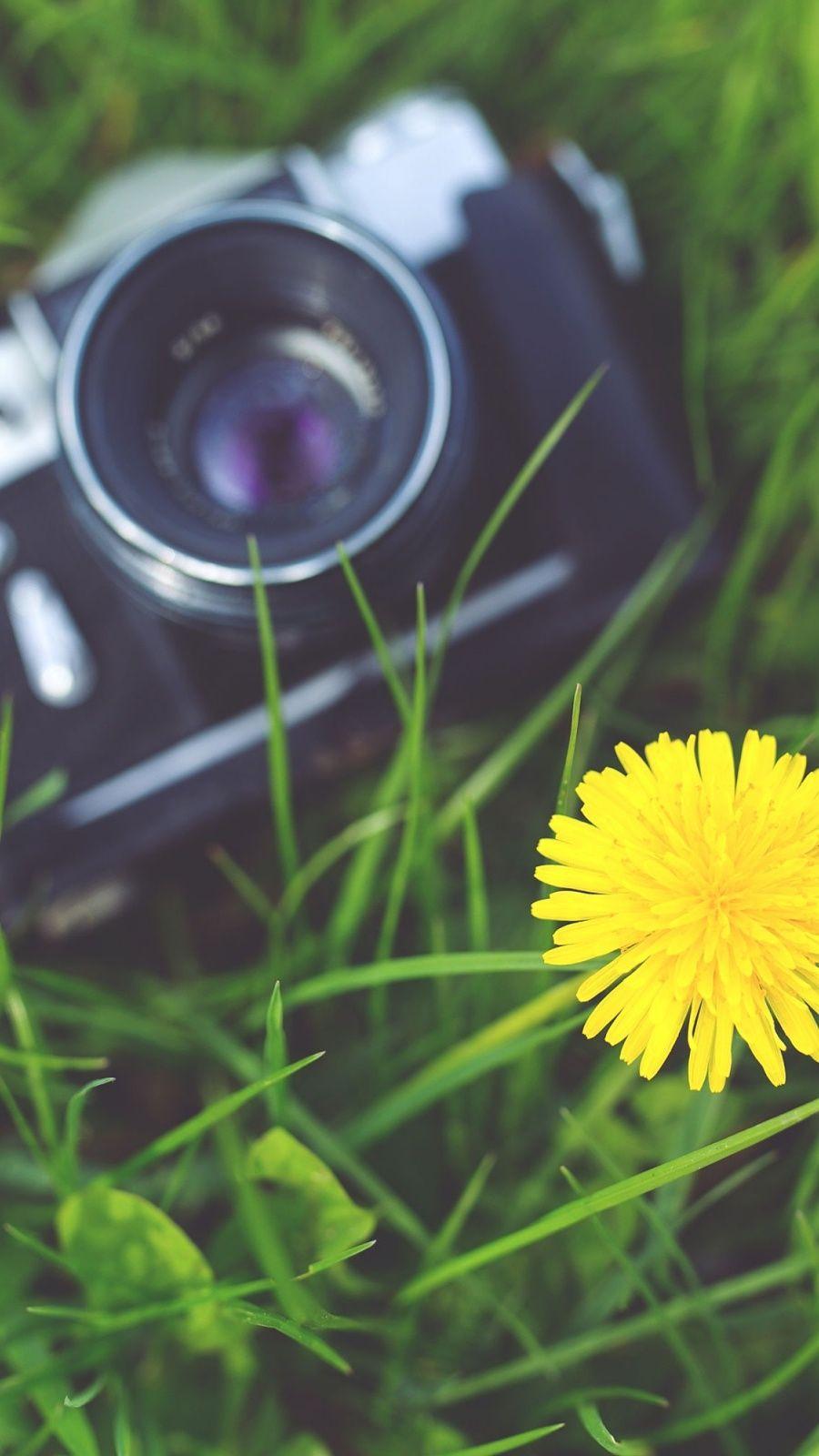 Photography Phone Wallpapers - Top Free Photography Phone Backgrounds ...