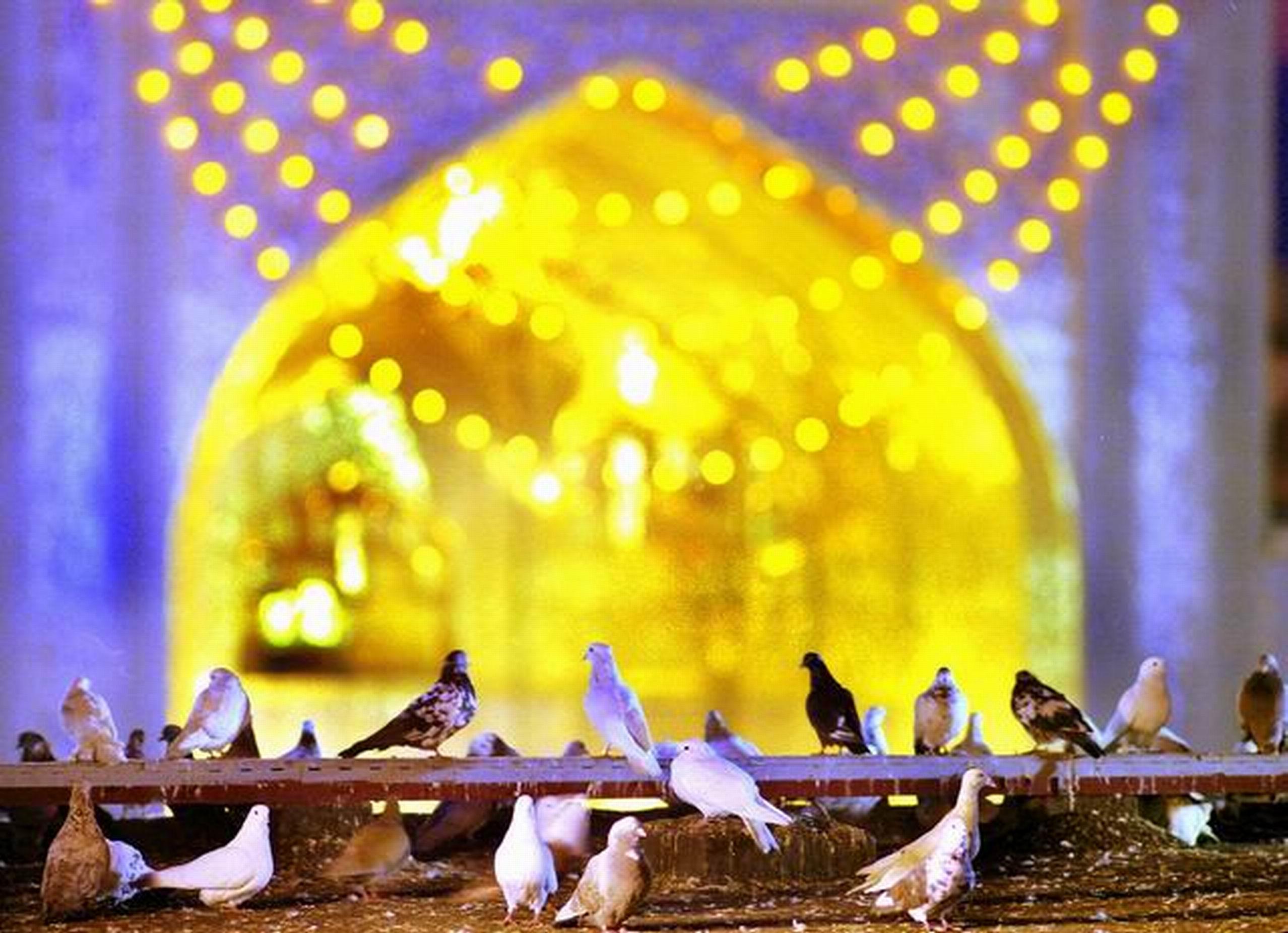 Mashhad Wallpapers - Top Free Mashhad Backgrounds - WallpaperAccess