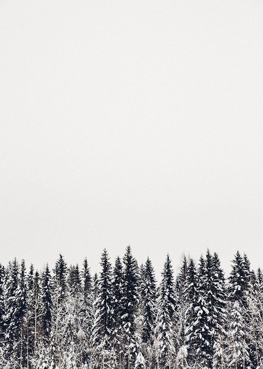 Tree Abstract iPhone Wallpapers - Top Free Tree Abstract iPhone ...