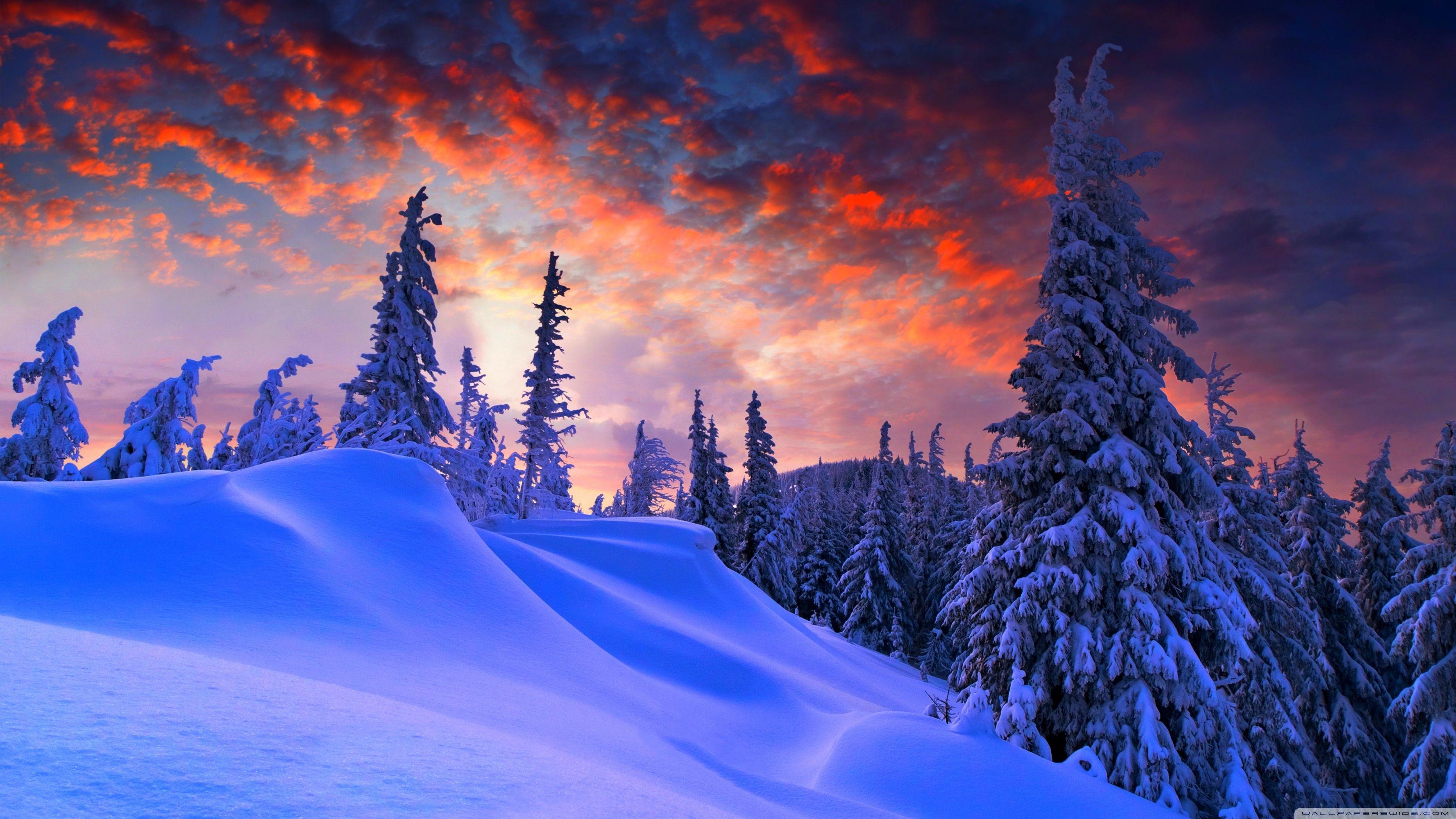 Ultra High Wallpapers - Top Free Ultra High Backgrounds - WallpaperAccess