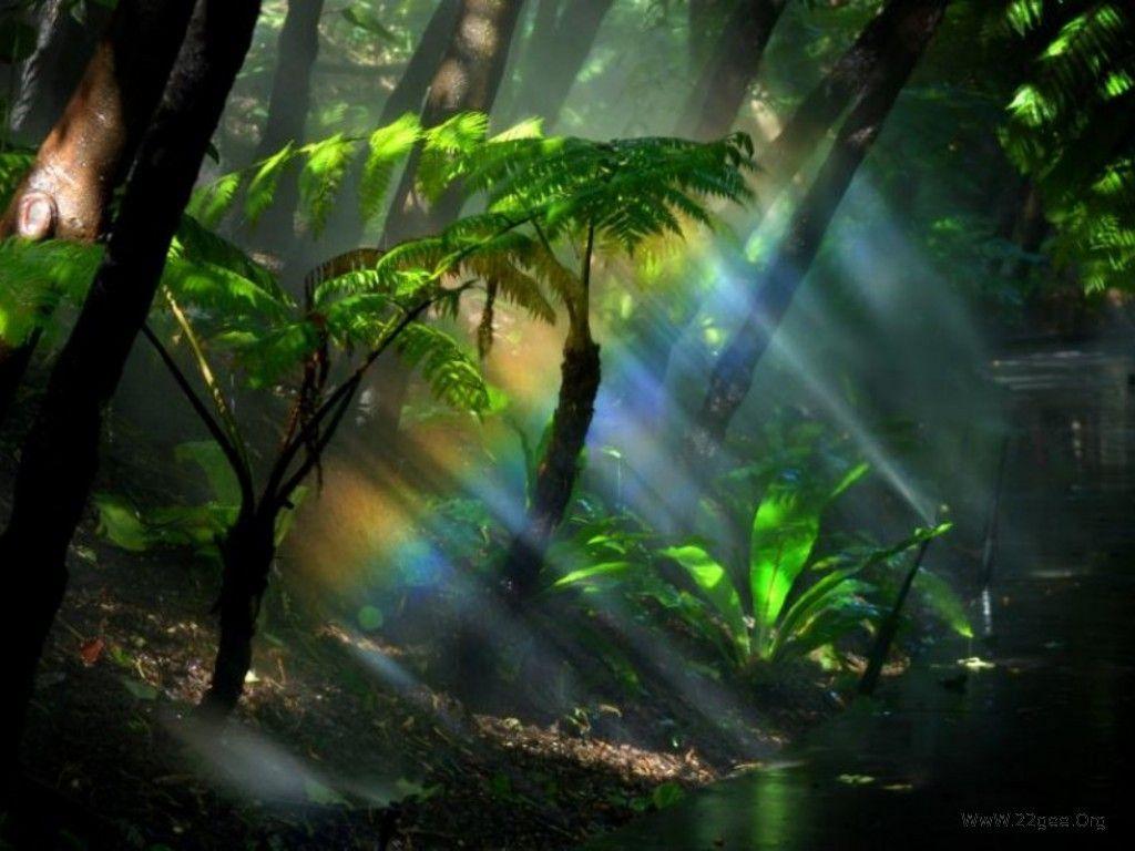 Tree Abstract iPhone Wallpapers - Top Free Tree Abstract iPhone ...