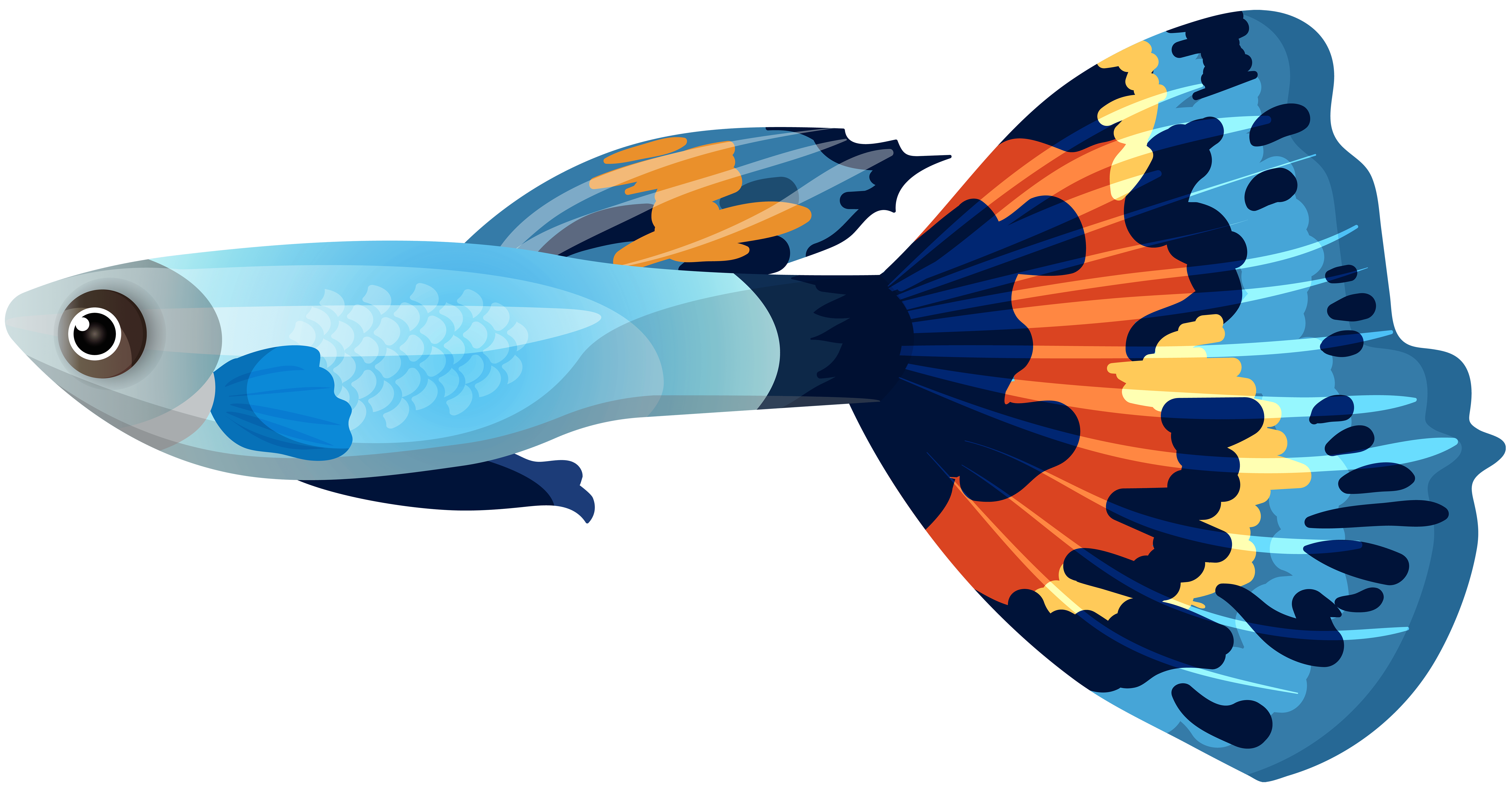 Guppy Wallpapers - Top Free Guppy Backgrounds - WallpaperAccess